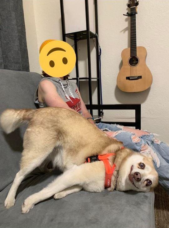 Moon Moon has a smiley face | Scrolller