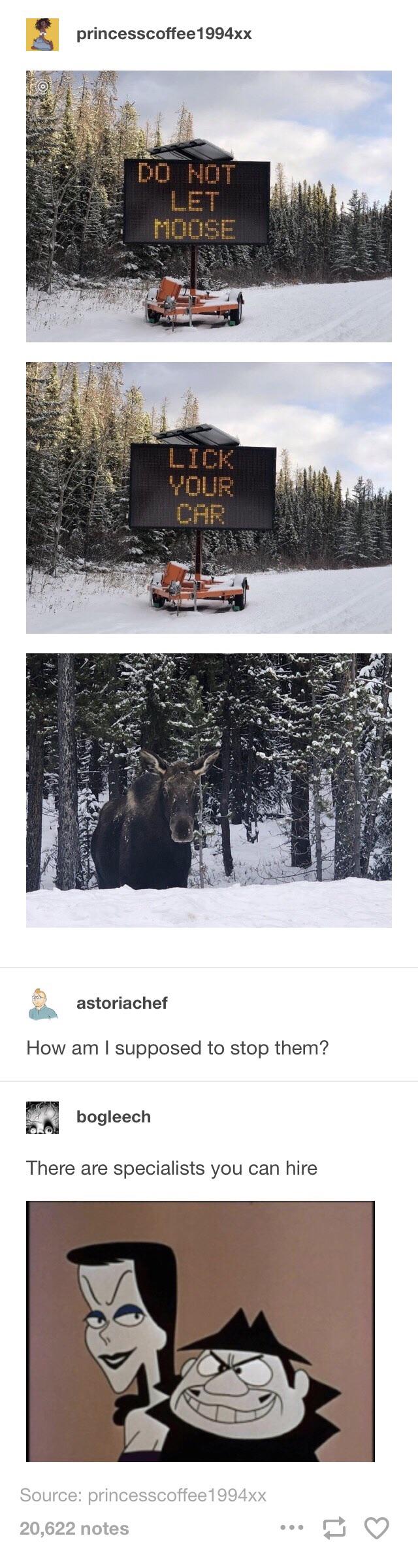 Moose Scrolller