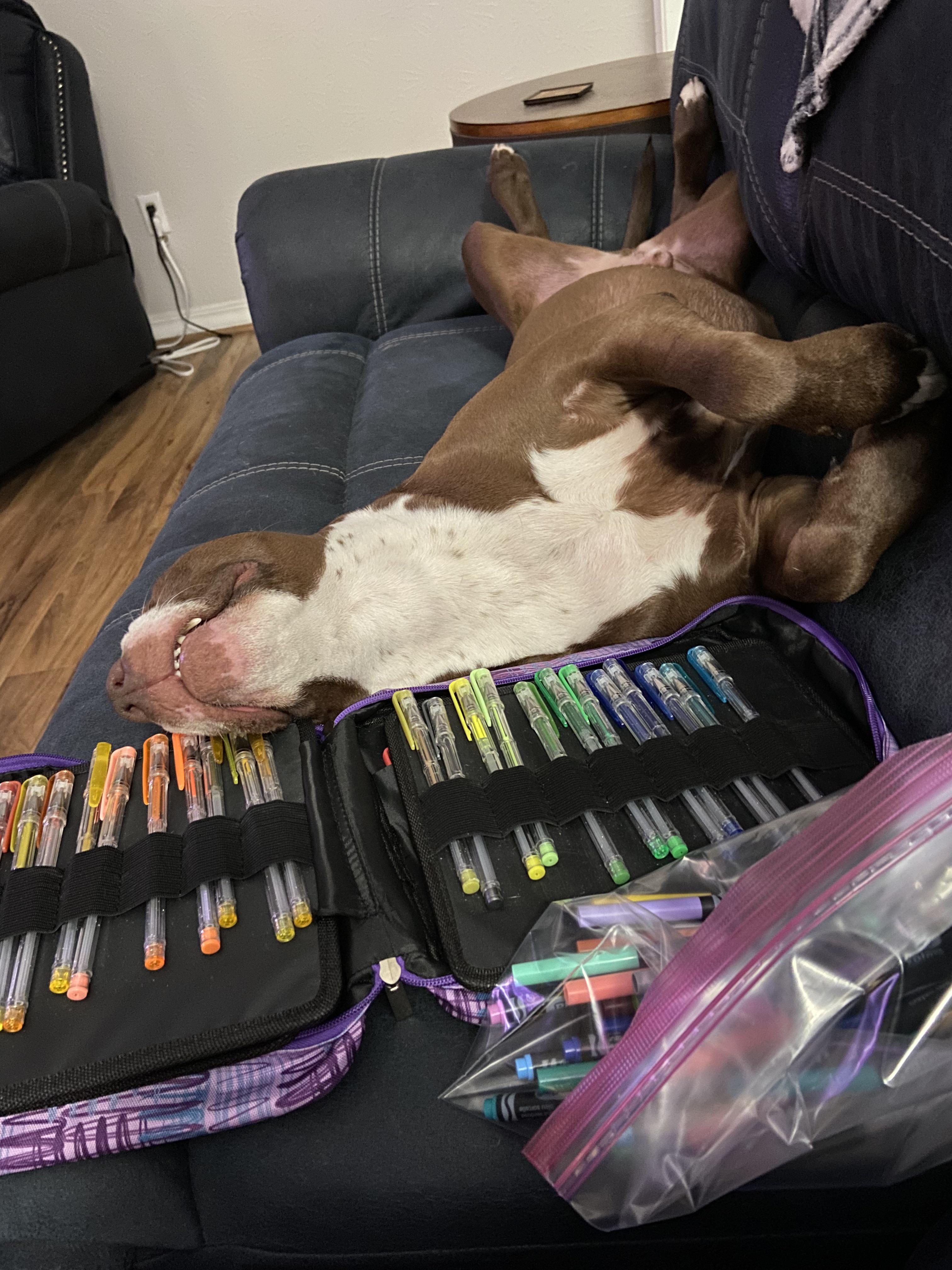 Moral support | Scrolller