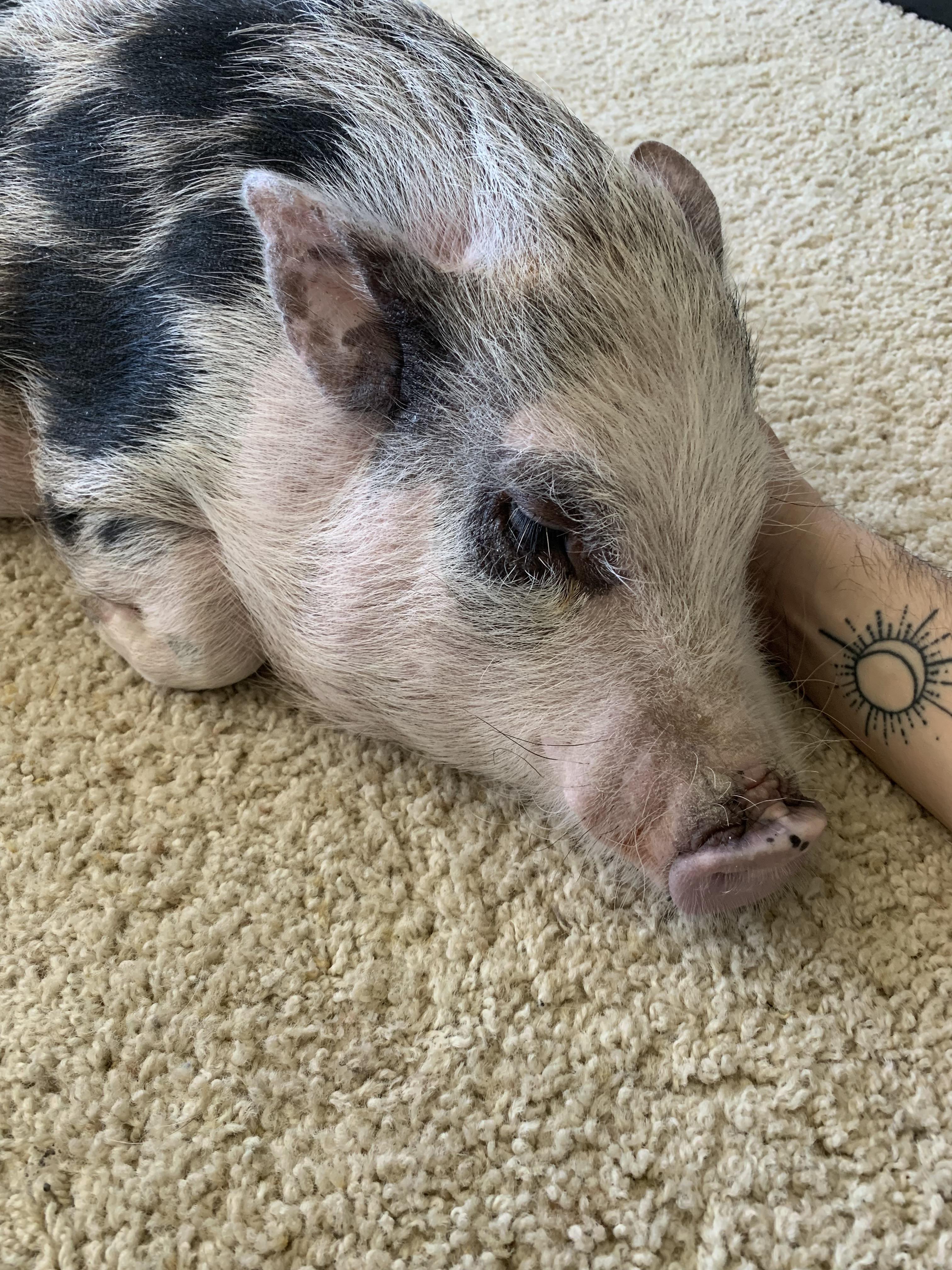 More Dunkin sweetness | Scrolller