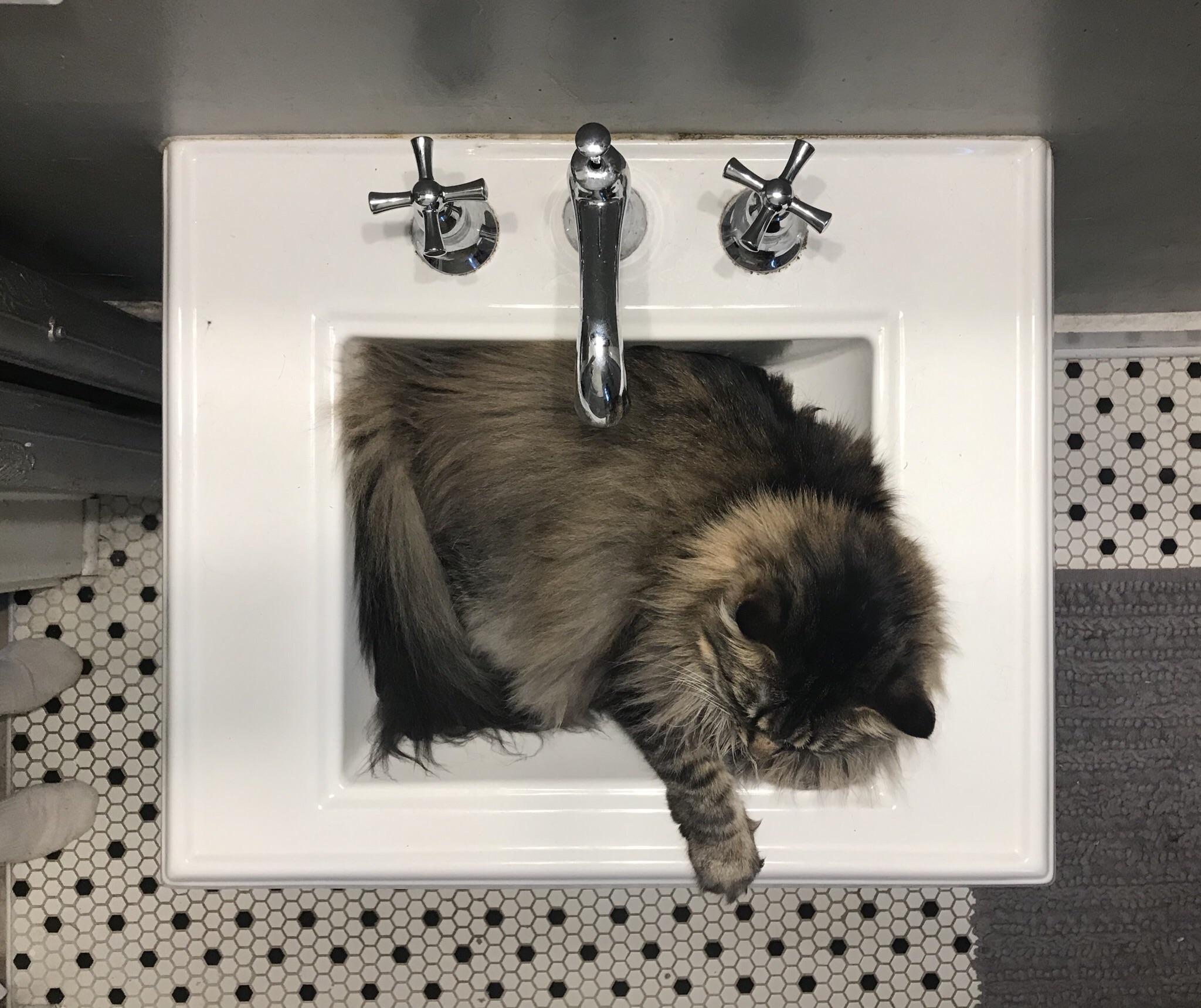 More of a rectangle but still | Scrolller