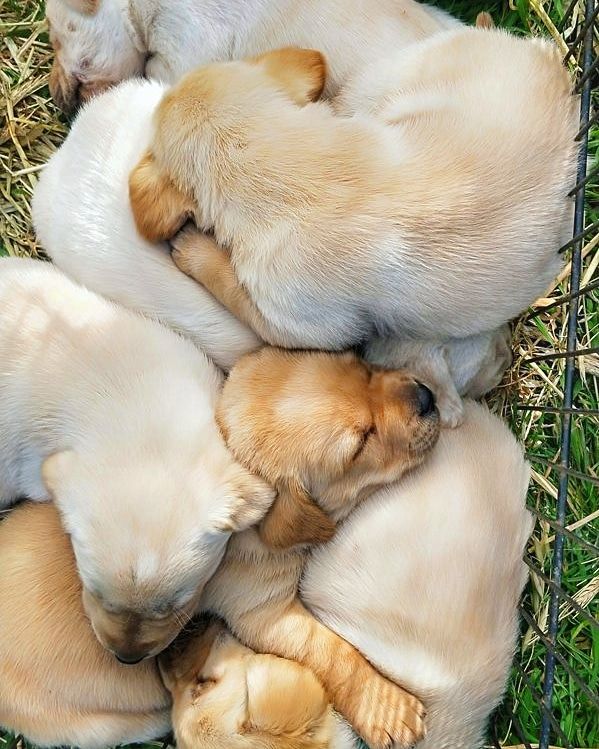 More of those cuddly siblings | Scrolller