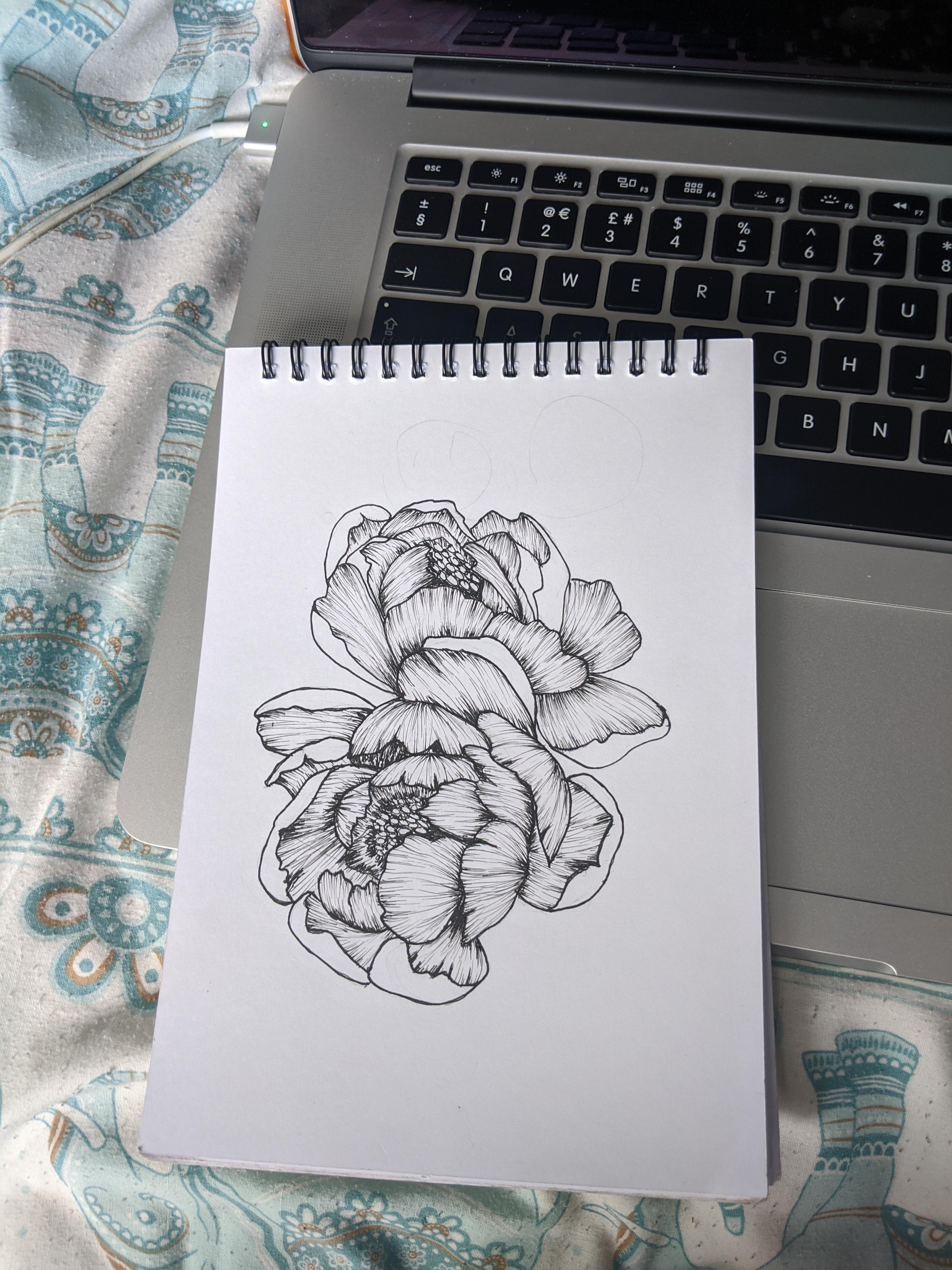More peony practice | Scrolller