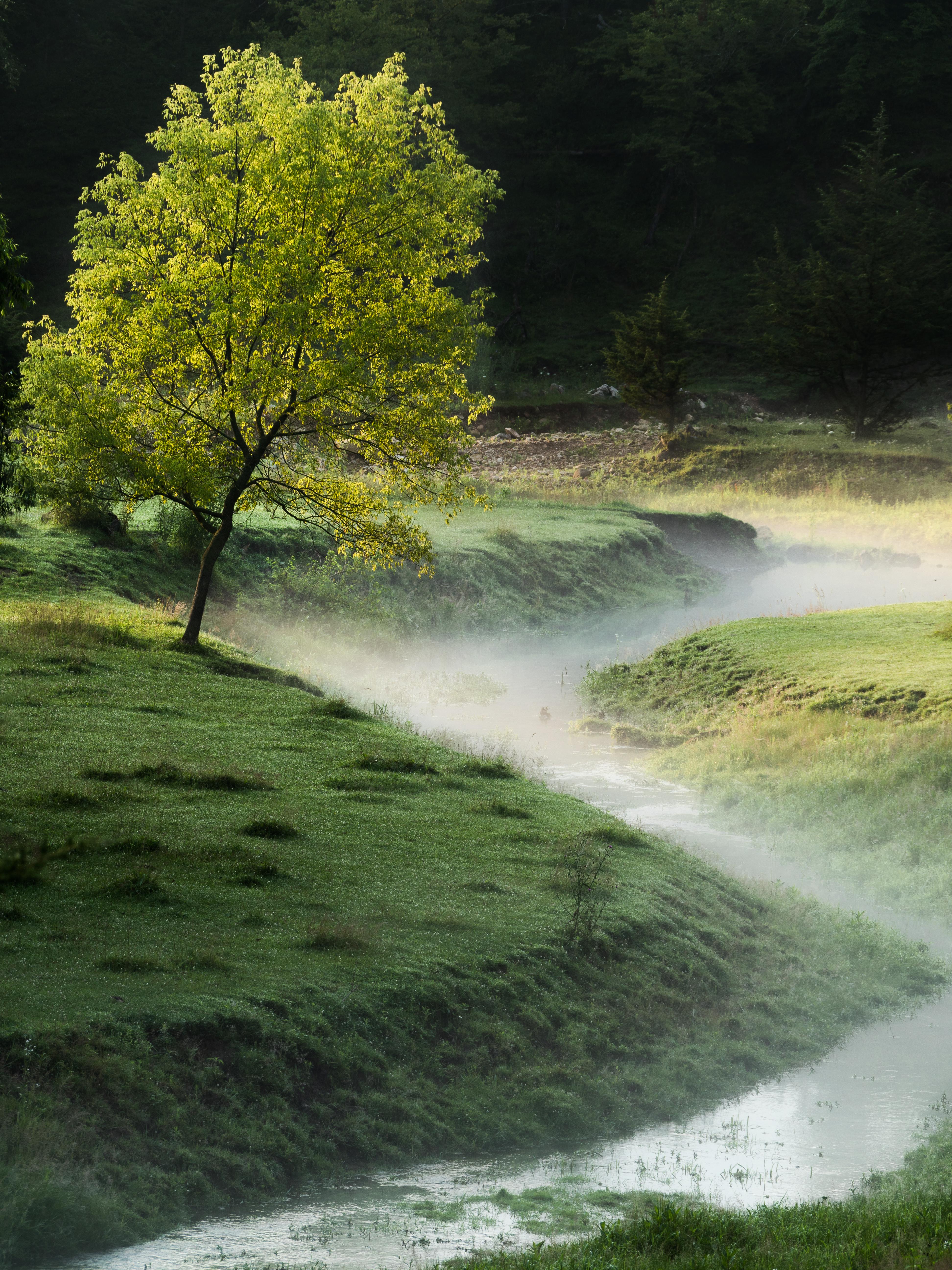Morning Light in the Driftless | Scrolller