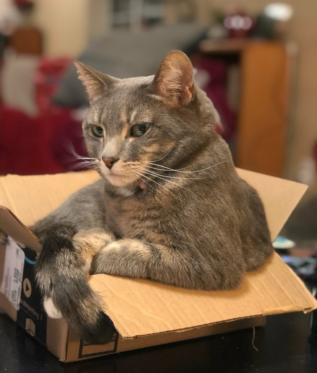 Most interesting Amazon delivery. | Scrolller