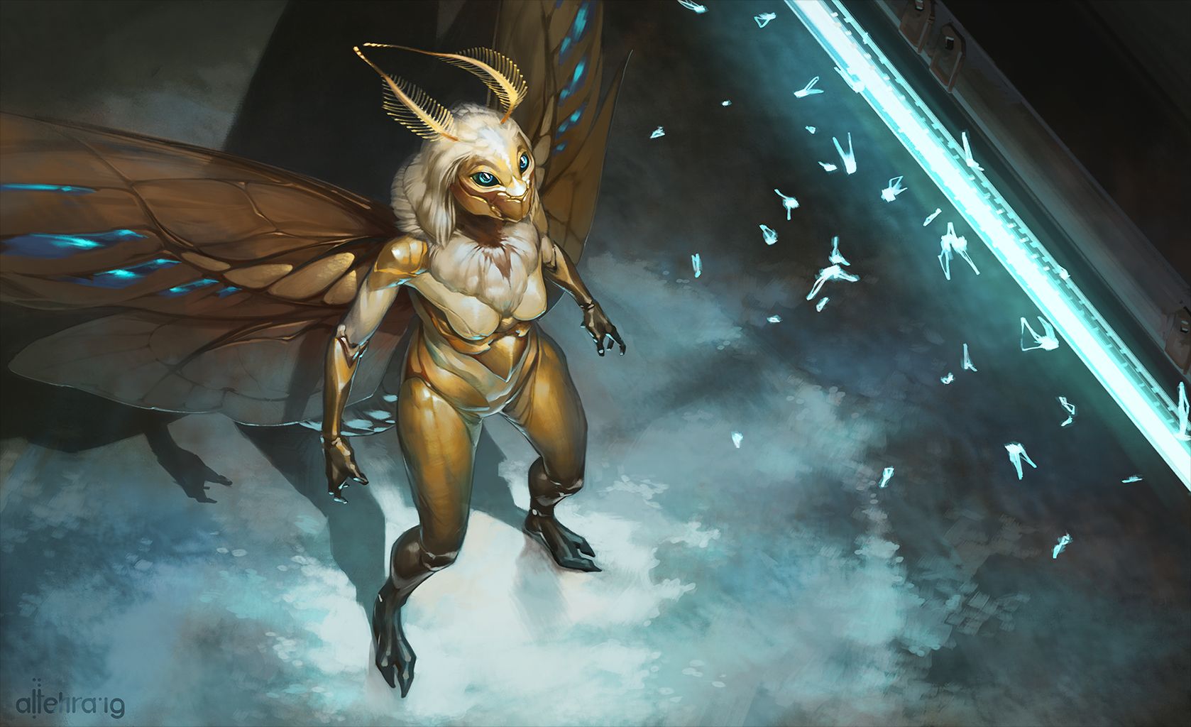 Moth's attraction by athume | Scrolller