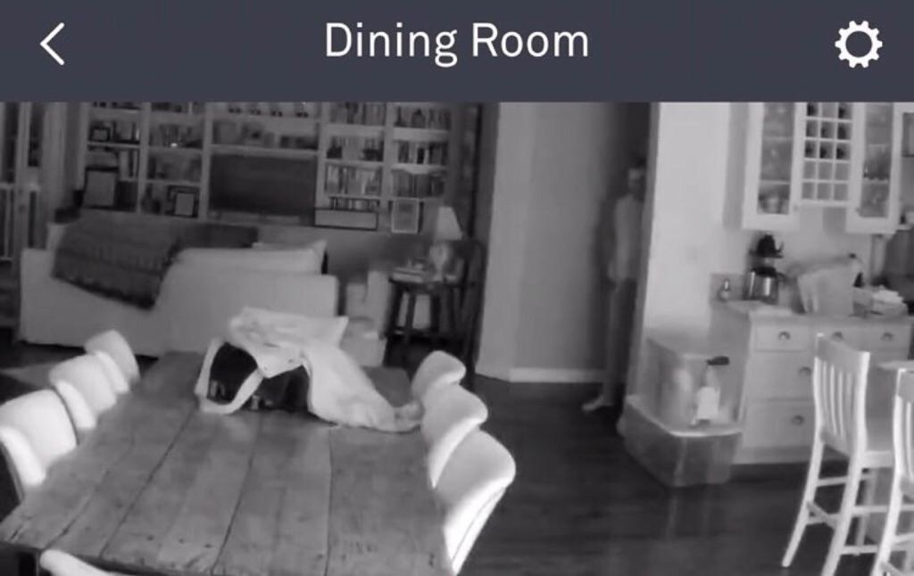 Motion sensor camera caught this imagine at my friends house | Scrolller