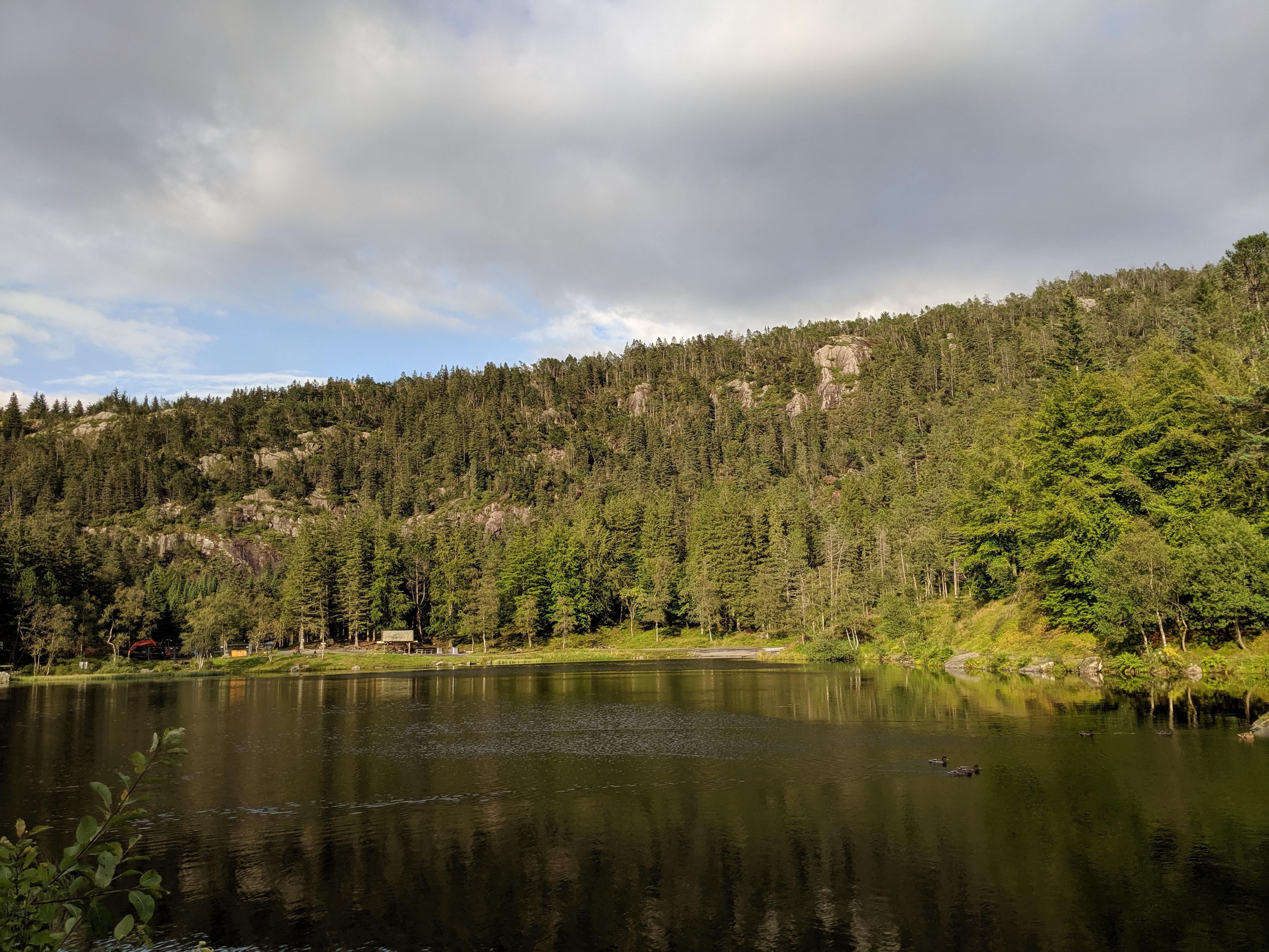 Mount Floyen summer 2019 | Scrolller