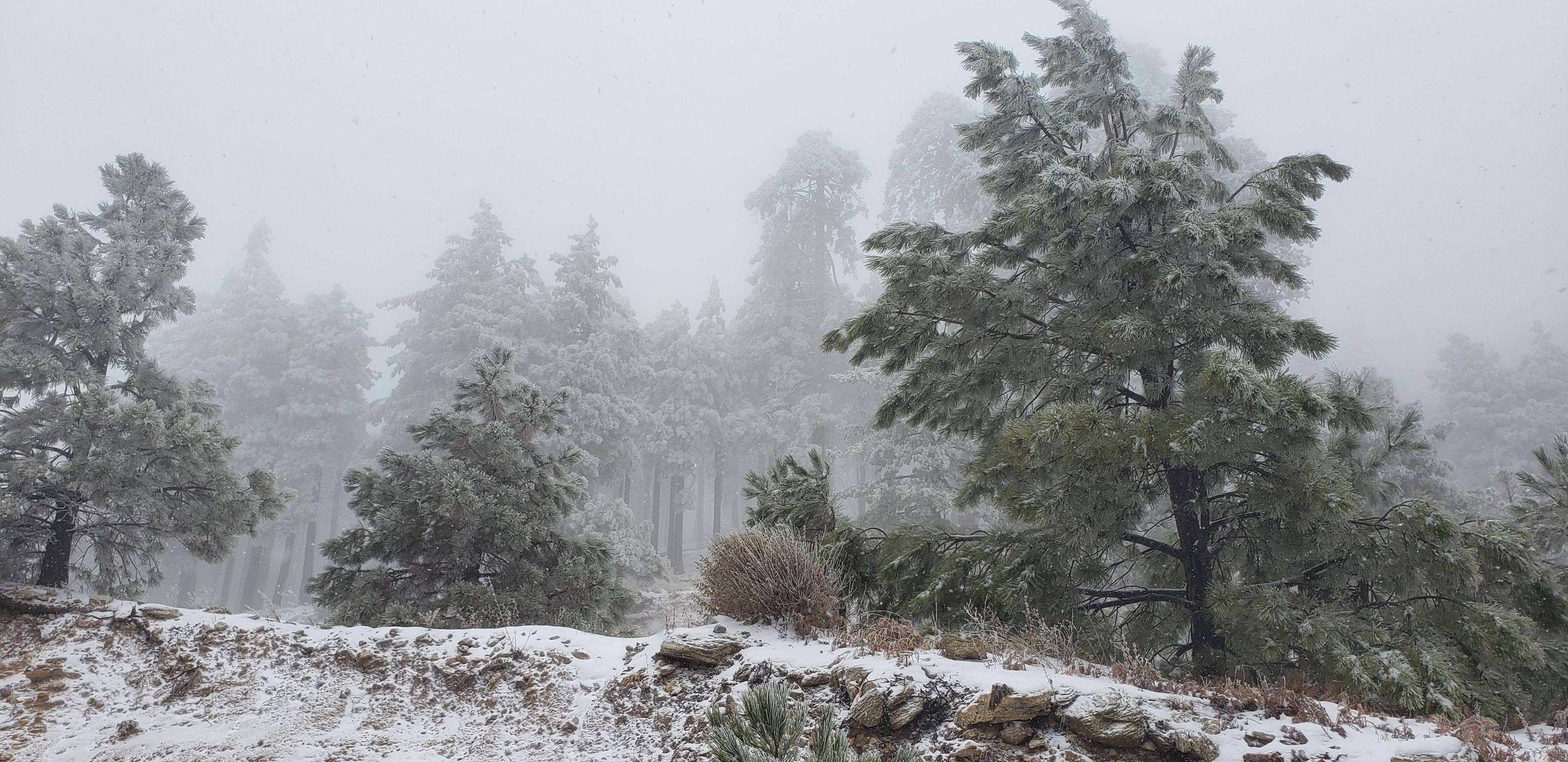 Mount Lemmon is a winter wonderland today | Scrolller