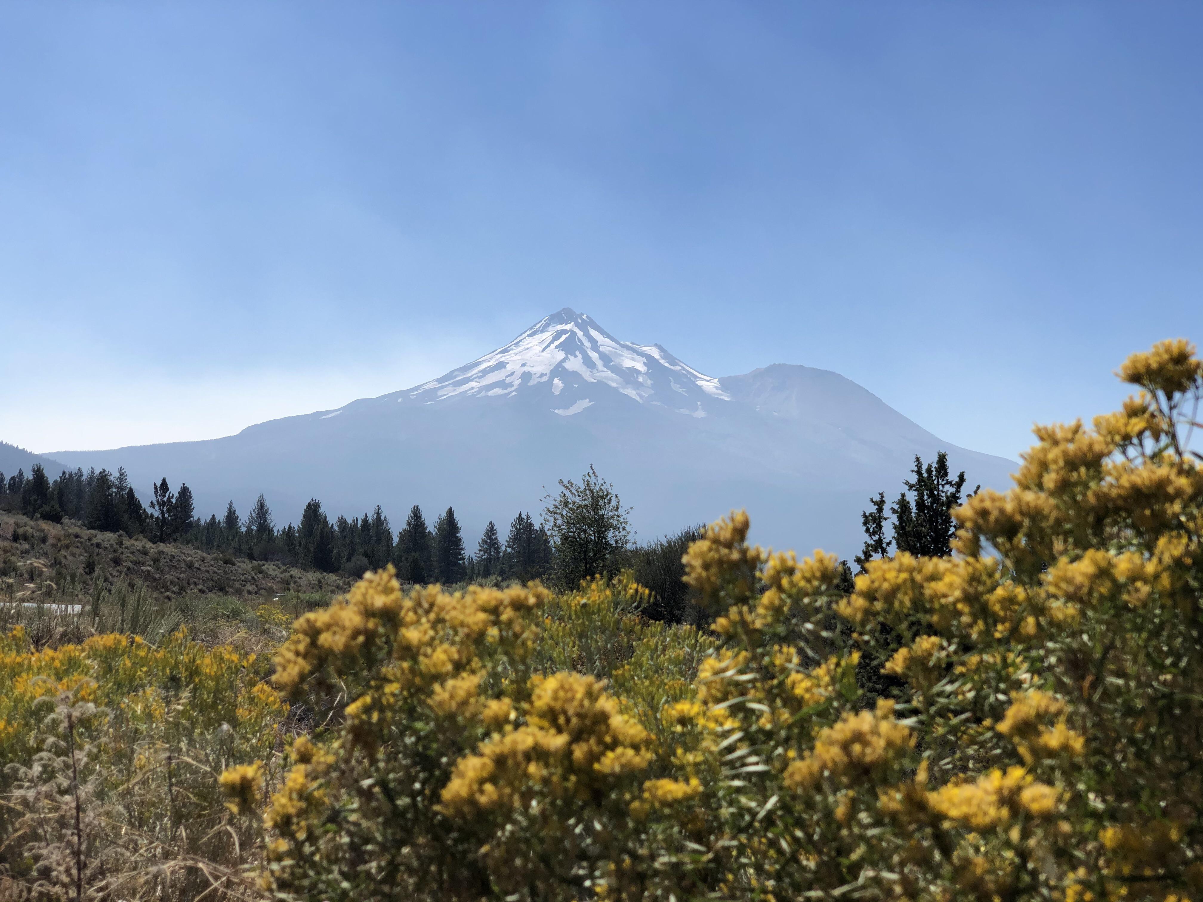 Mount Shasta, California | Scrolller
