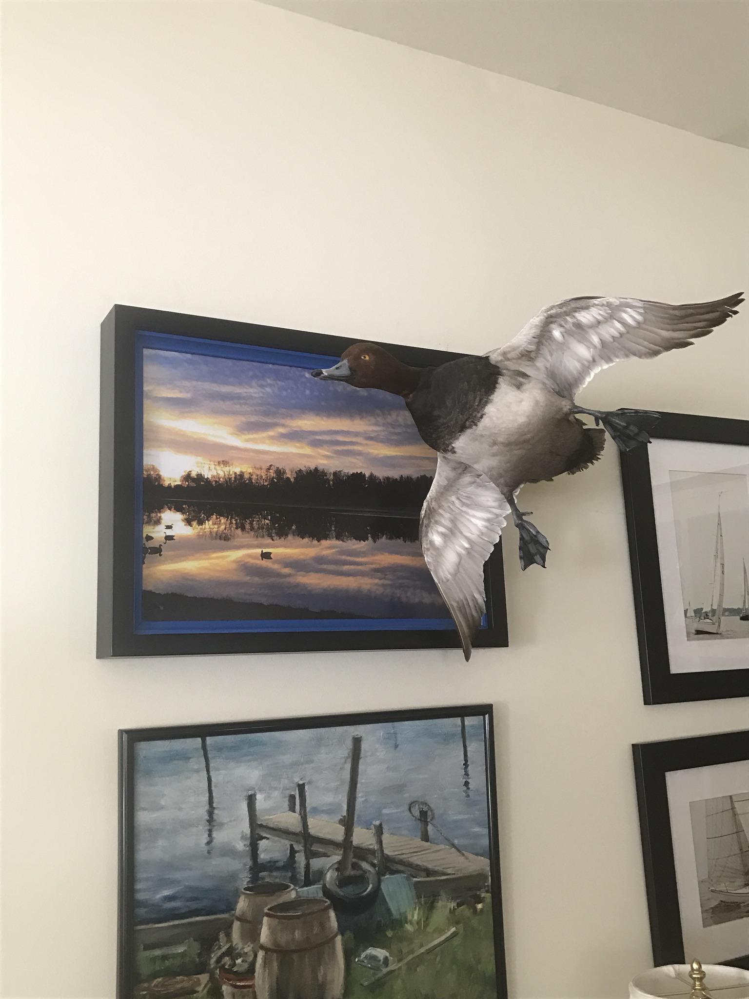 Mounty Mount | Scrolller