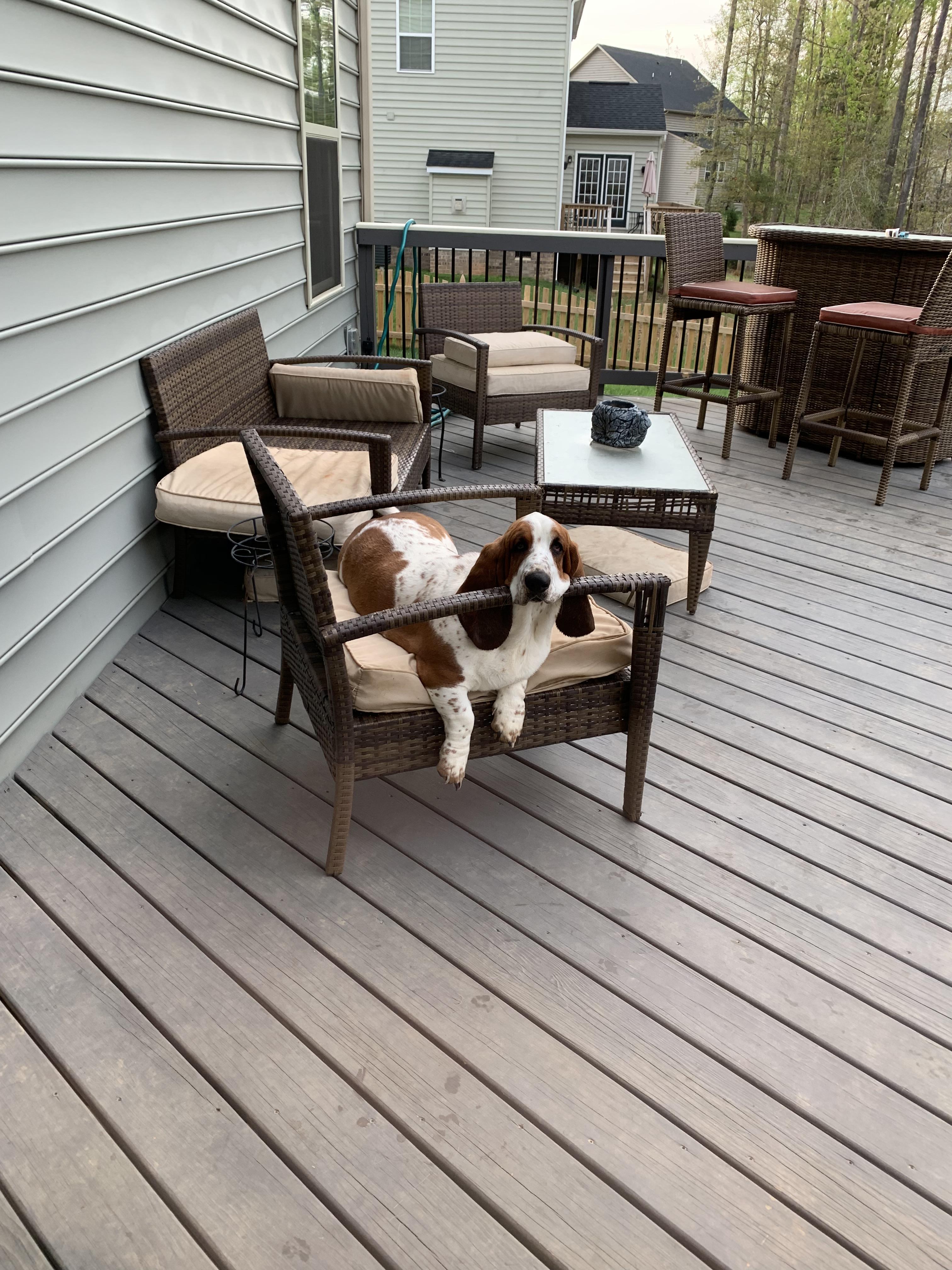 Mr Cash is melting | Scrolller