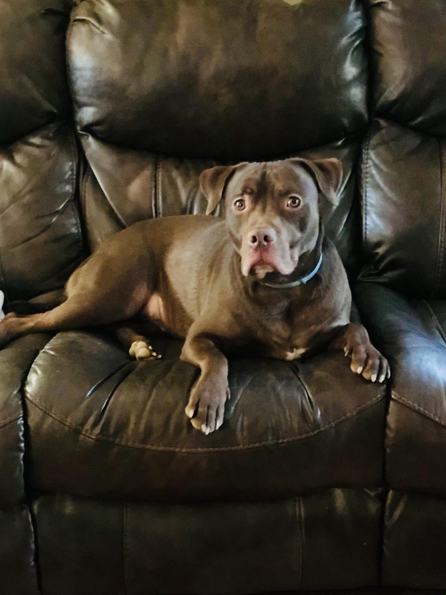 Mr. Handsome ️ | Scrolller