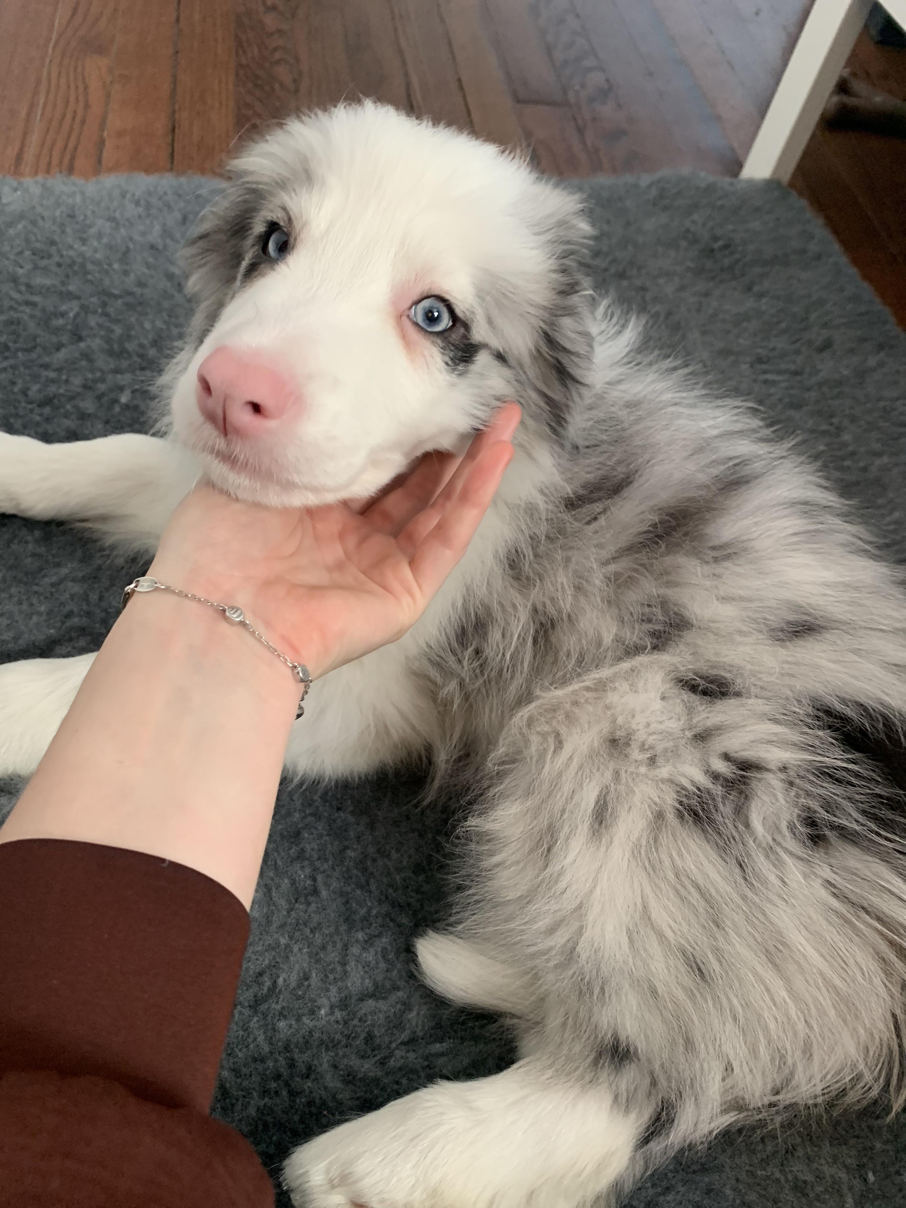 Mr. Steal yo girl | Scrolller