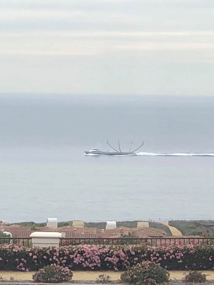 Mr Steven at sea | Scrolller