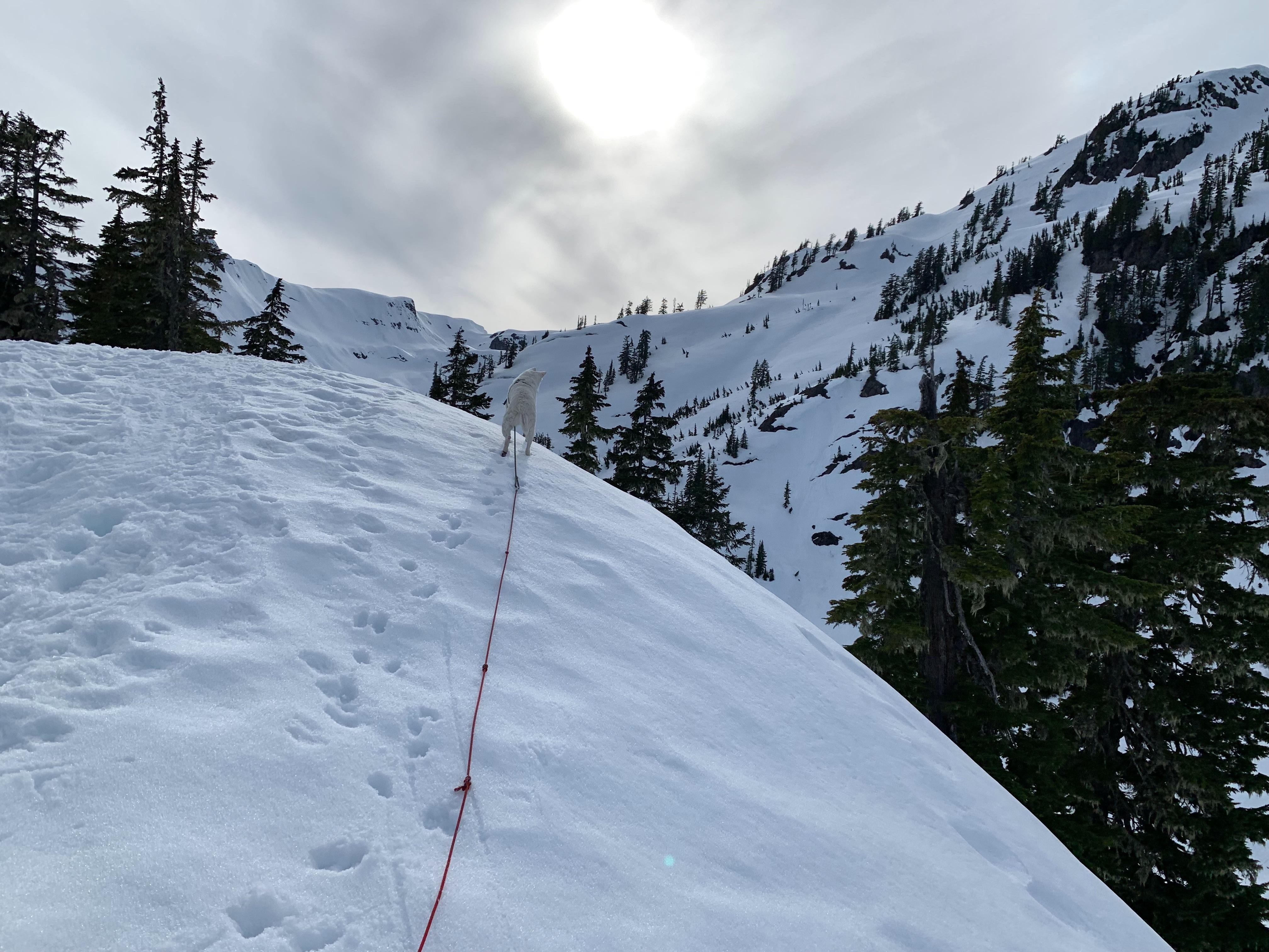 Mt Baker Area | Scrolller