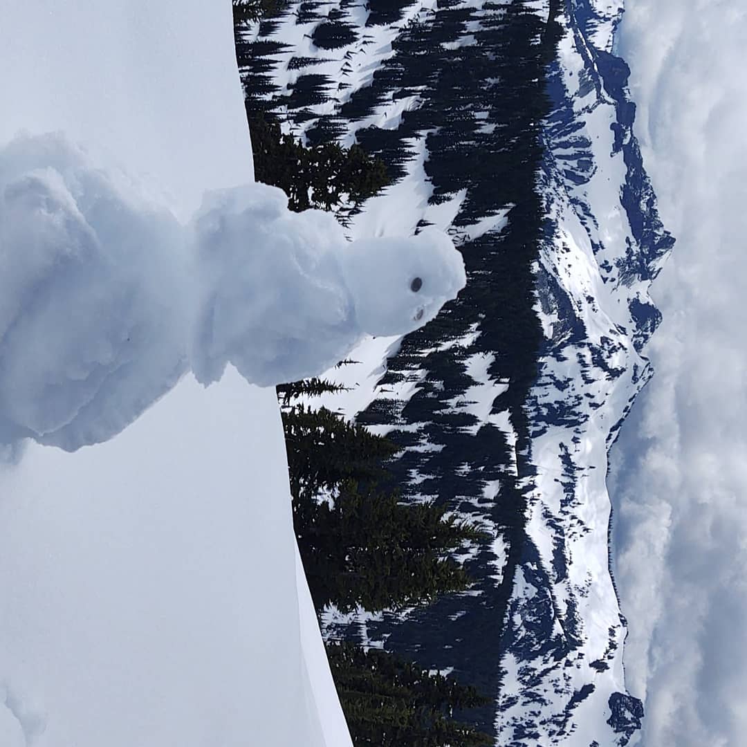 Mt Rainier National Park | Scrolller