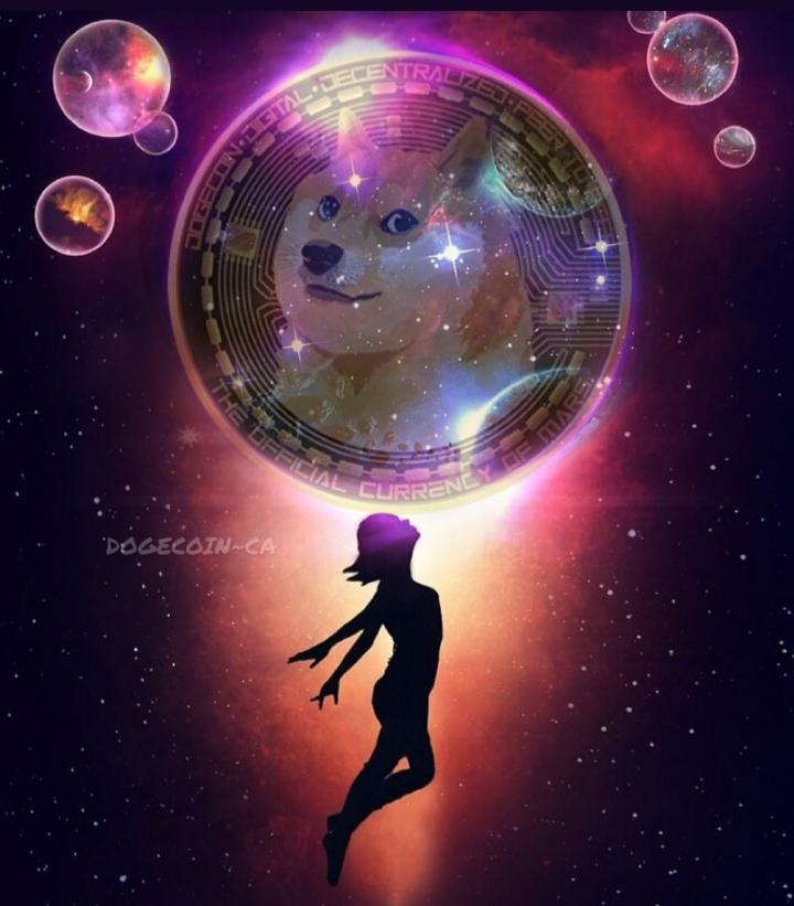 Much wow | Scrolller