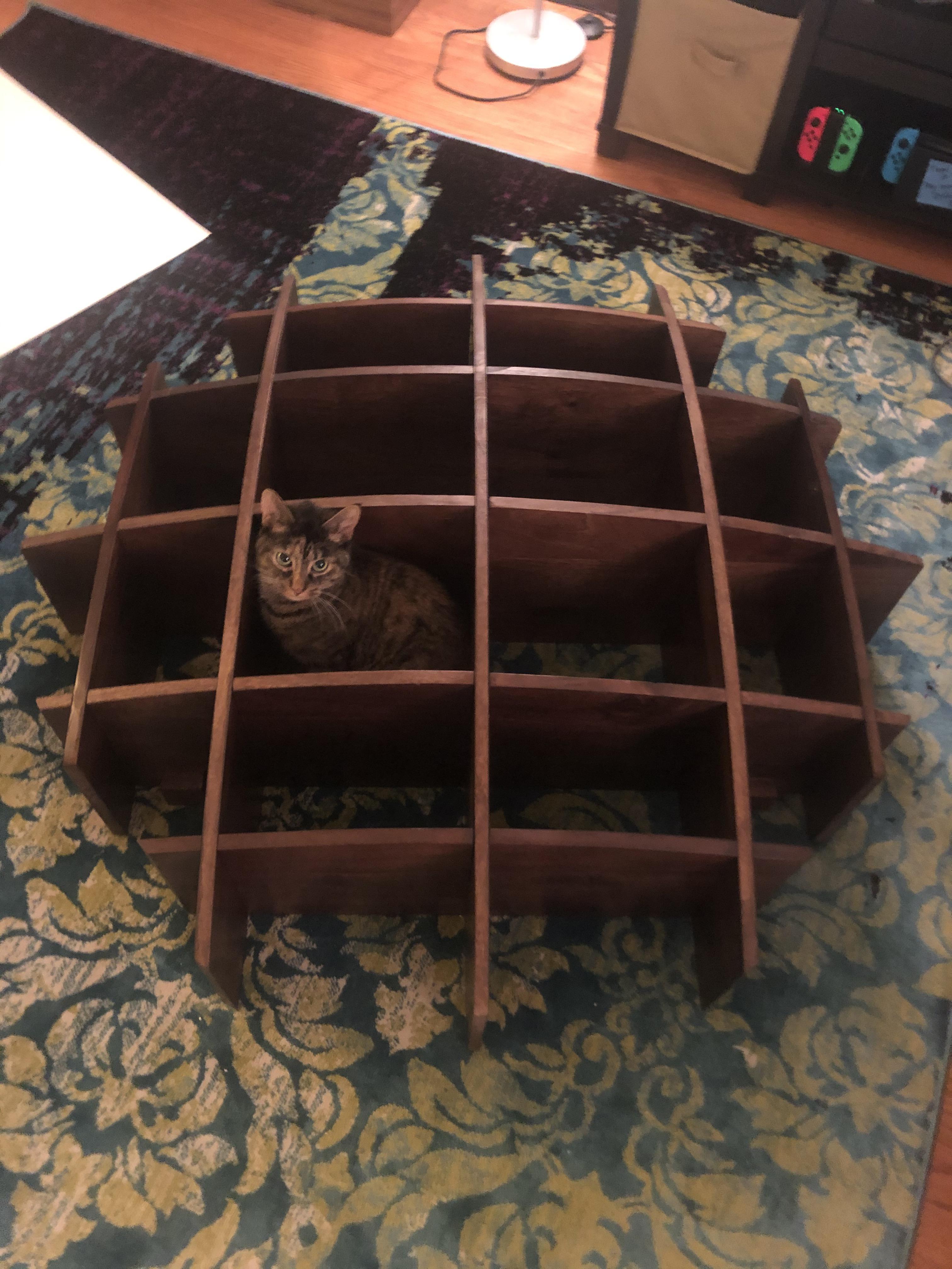 Multi compartment trap | Scrolller