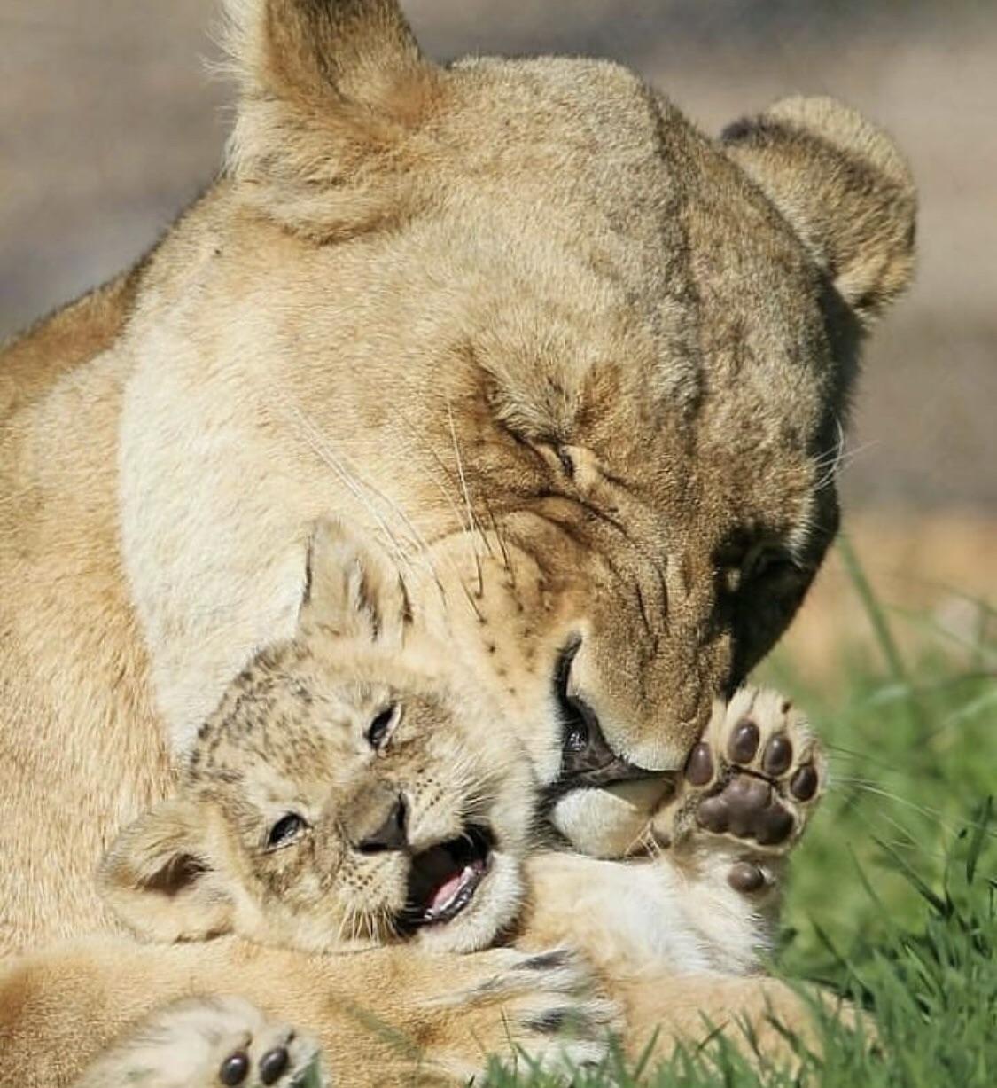 Mum Stop!! | Scrolller