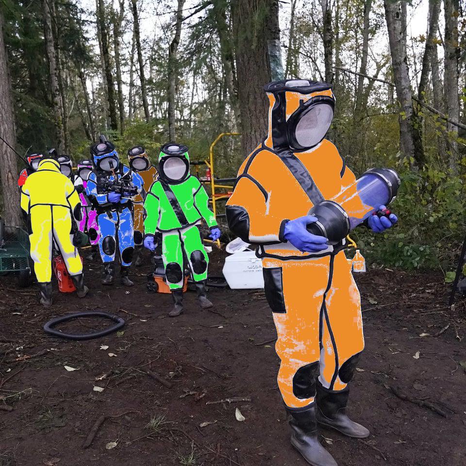 Murder Hornets Among US!!! | Scrolller