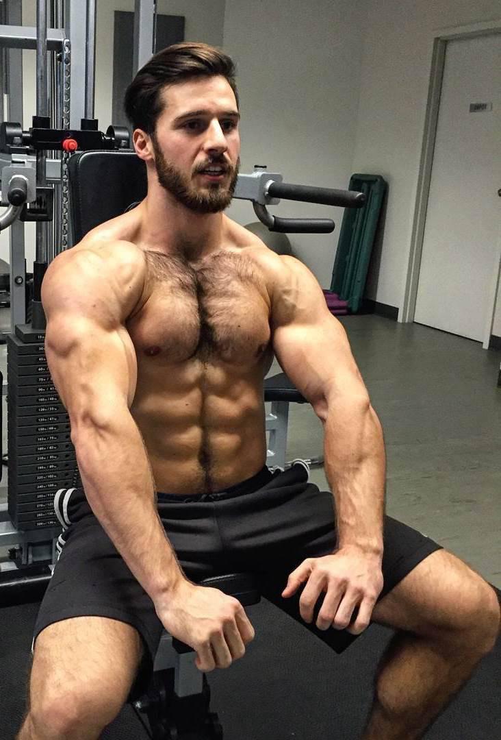 Muscle in the gym ... | Scrolller