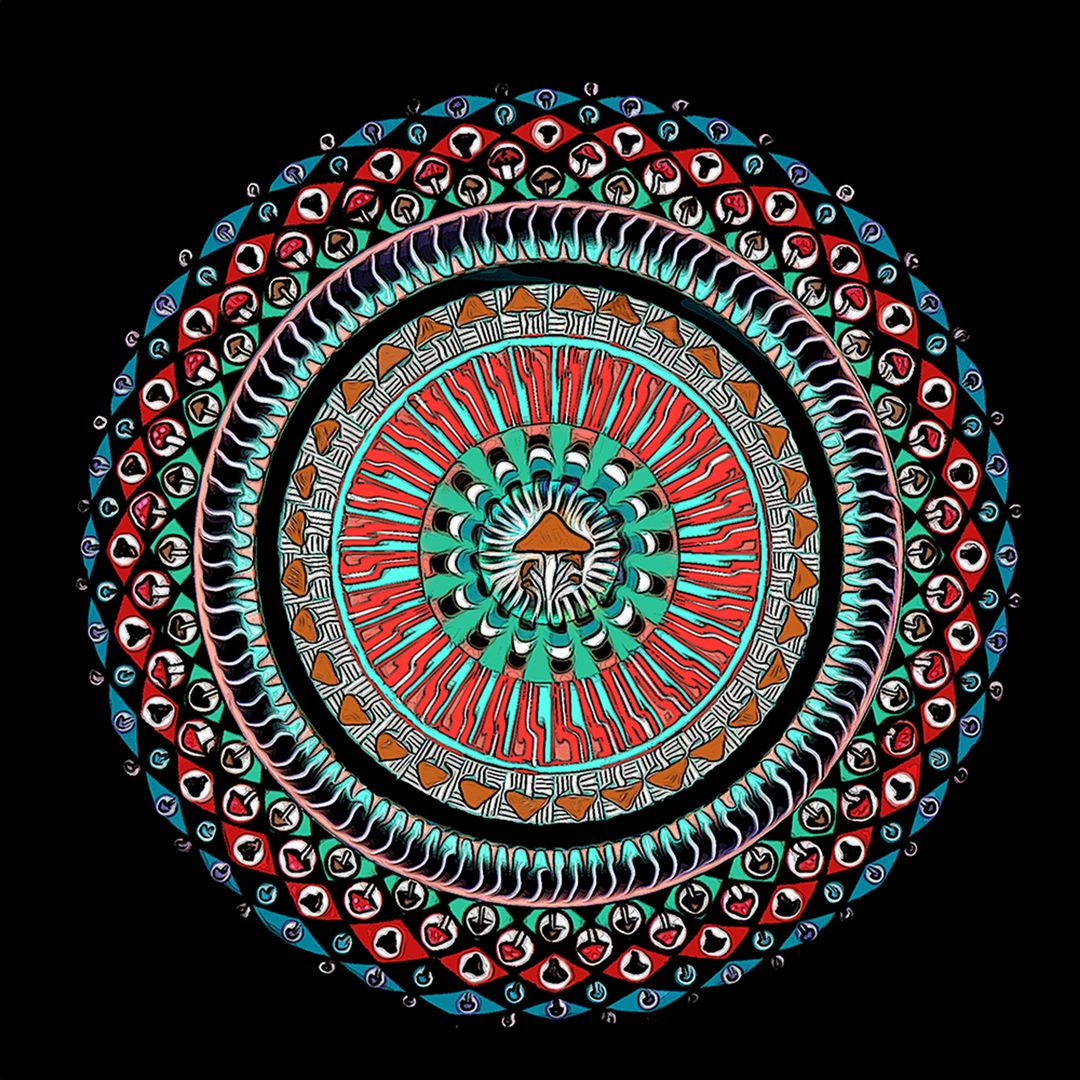 Mushroom Mandala | Scrolller
