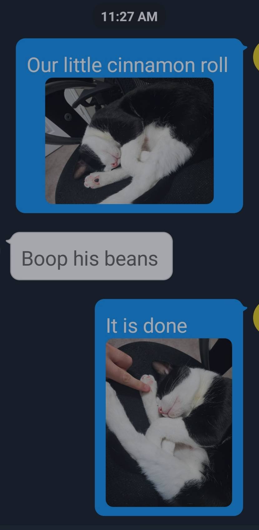 Must boop the beans! | Scrolller