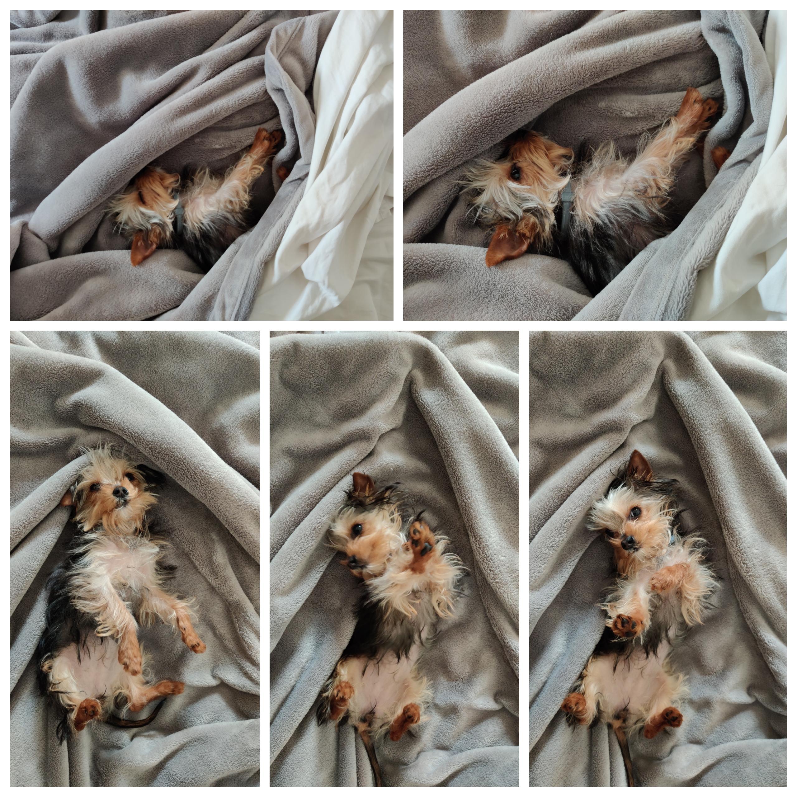 Must we wake up NOW? | Scrolller