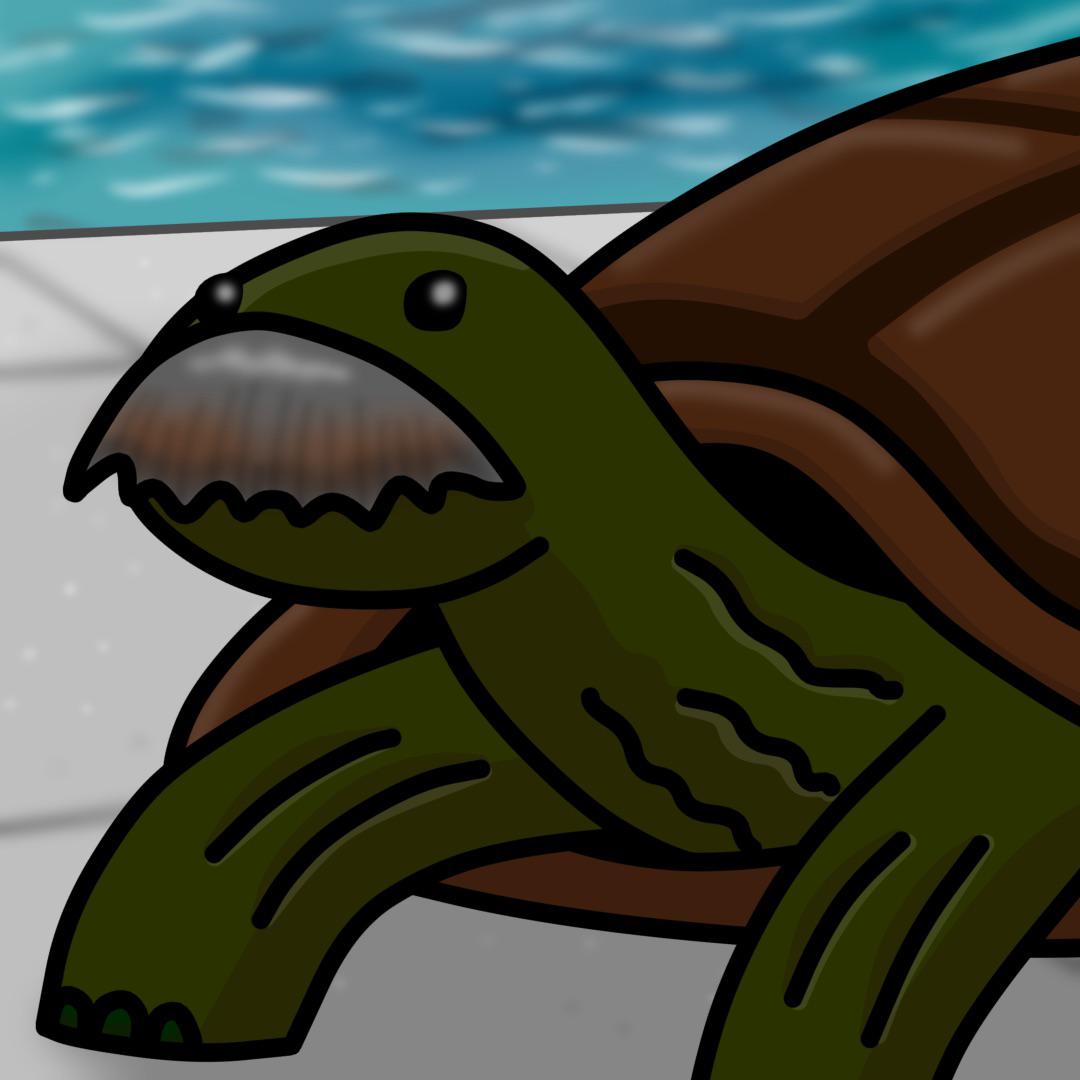 Mustache Turtle | Scrolller