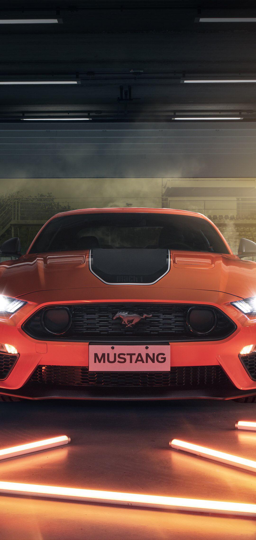Mustang | Scrolller
