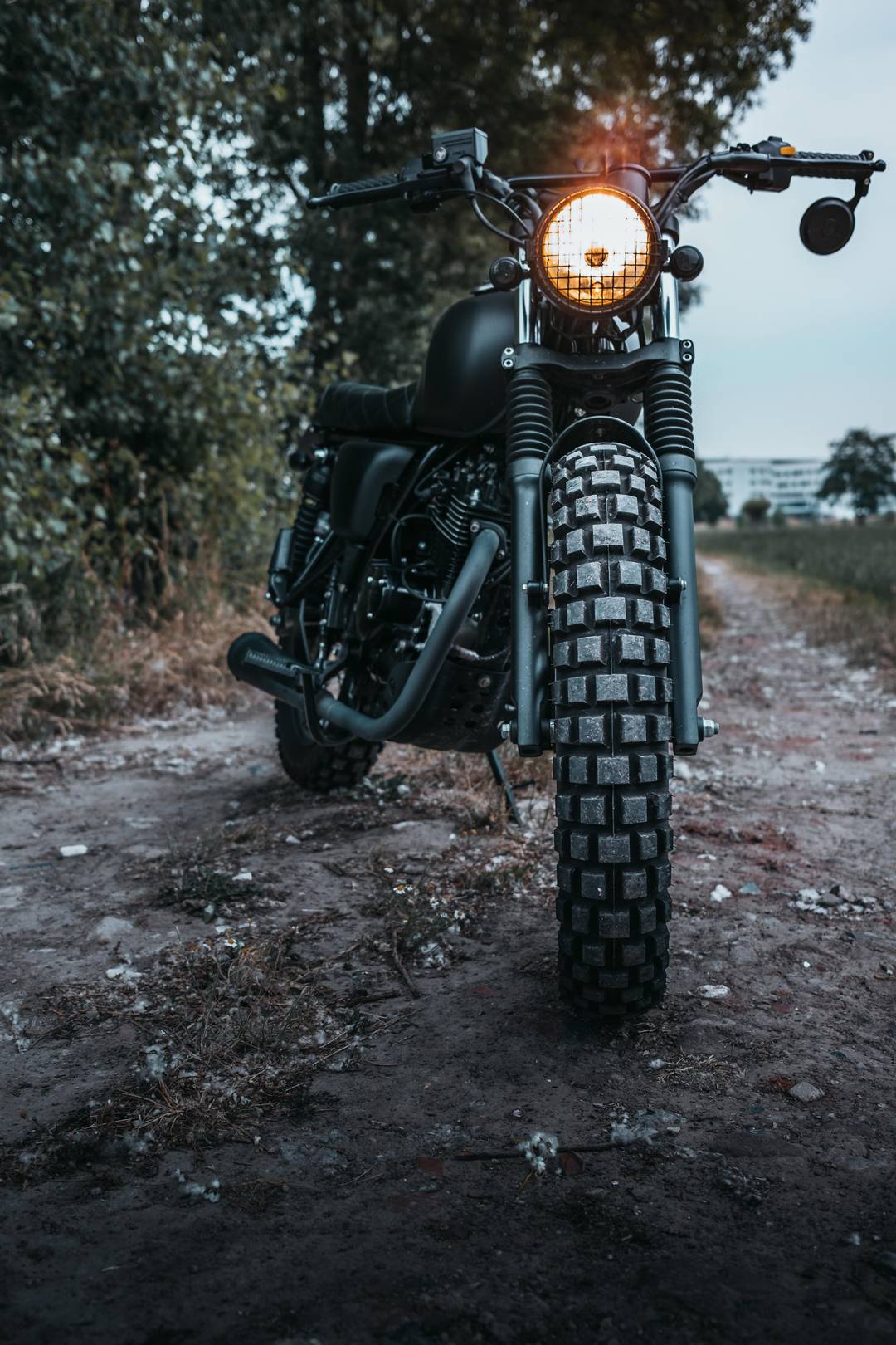 Mutt fat sabbath with a few small mods. | Scrolller