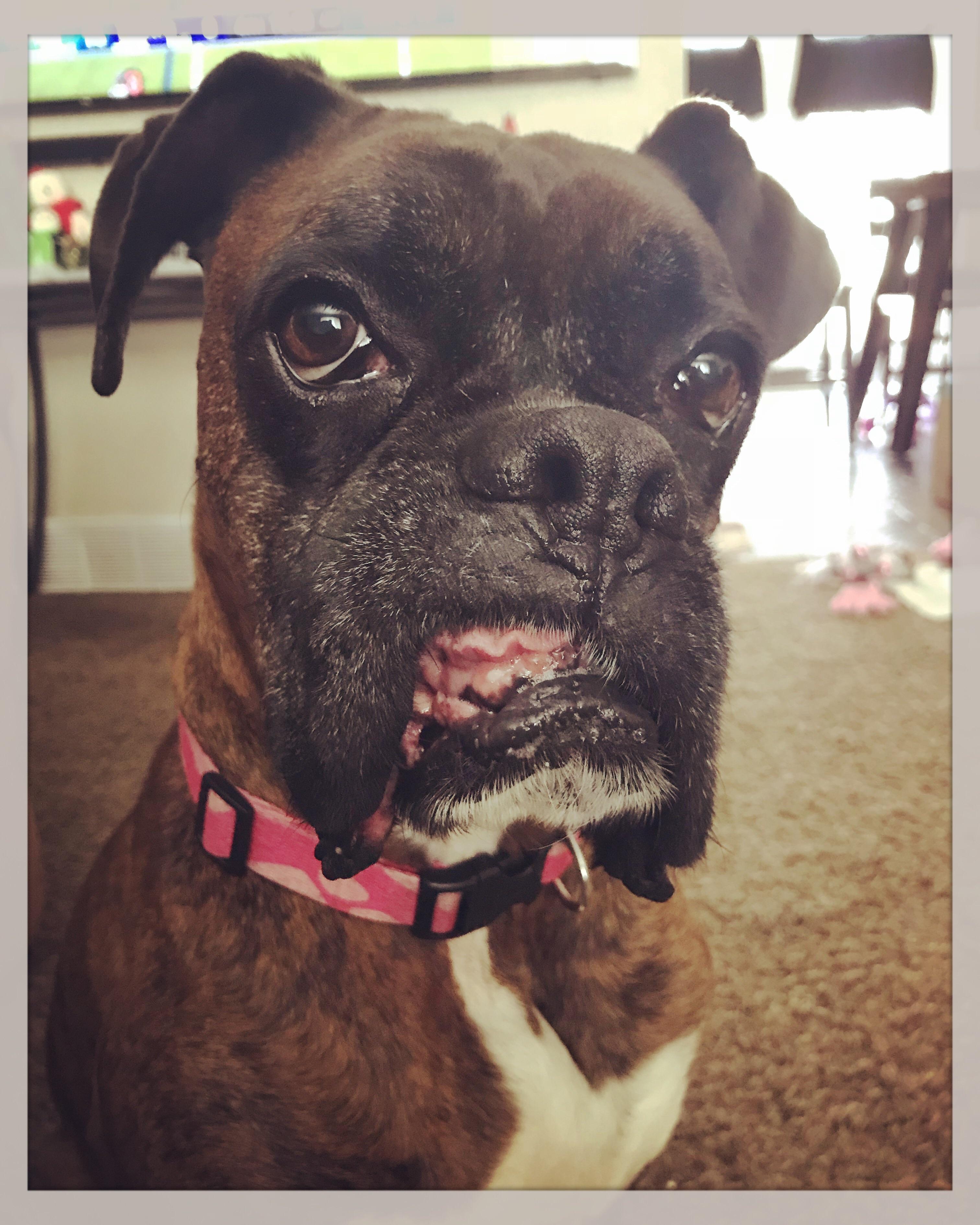 My 10 year old durr durr 🤪 | Scrolller