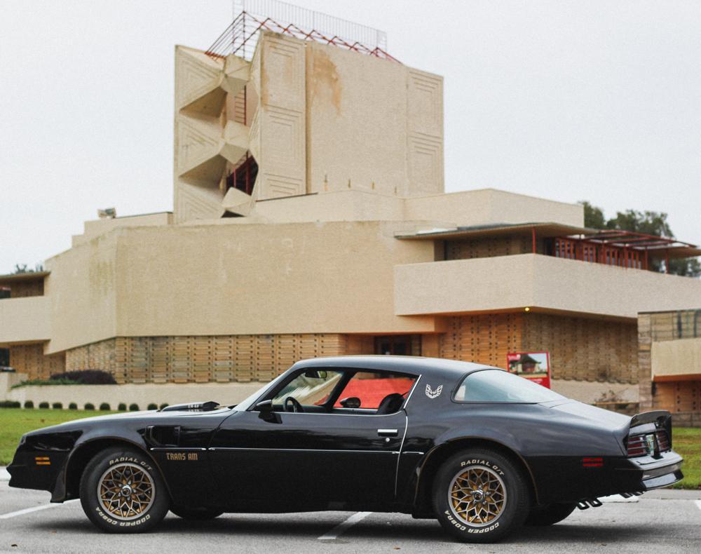 My '78 Trans Am | Scrolller