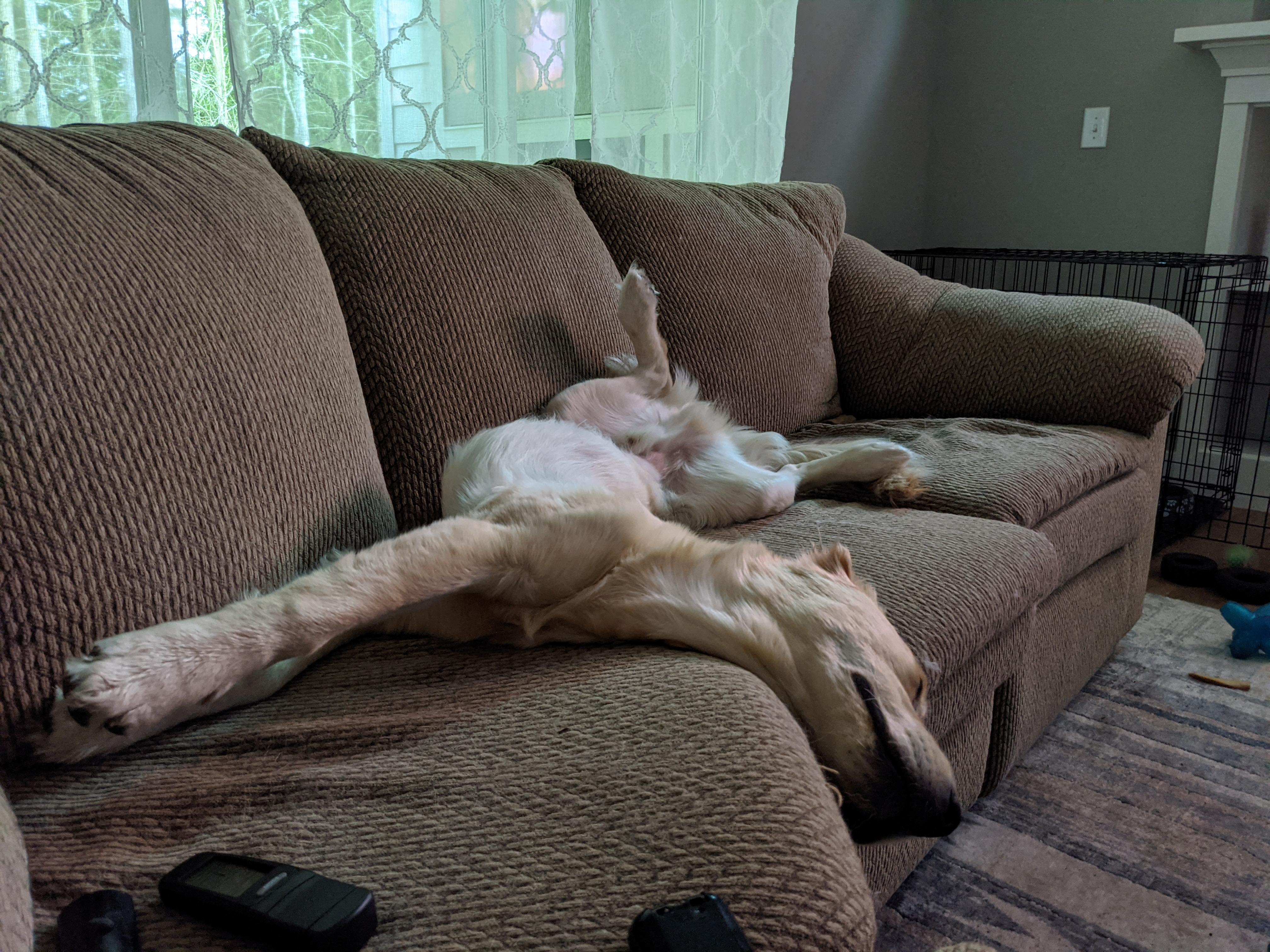 My 8 month old Benjamin being a derp | Scrolller