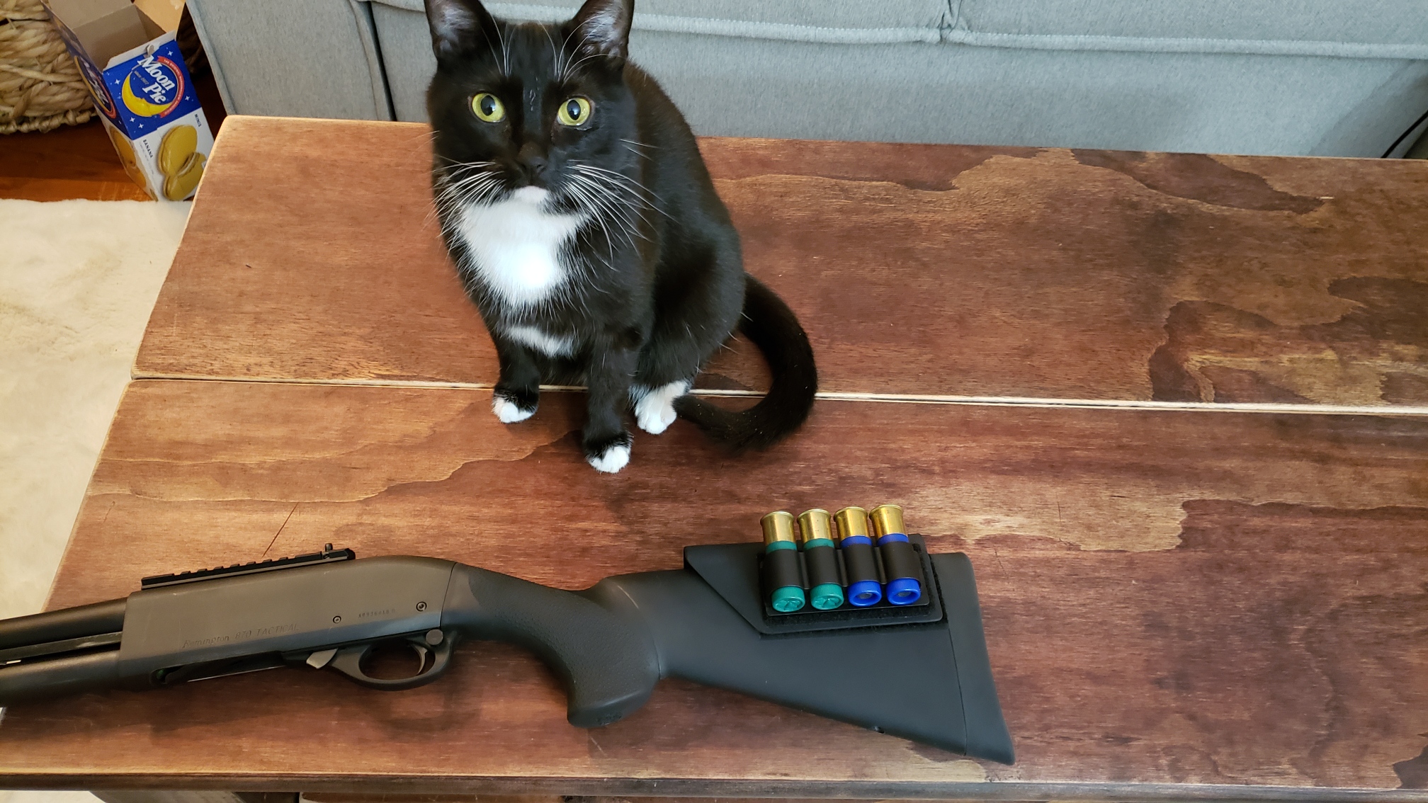 My 870 and my shadow demon Winnie | Scrolller