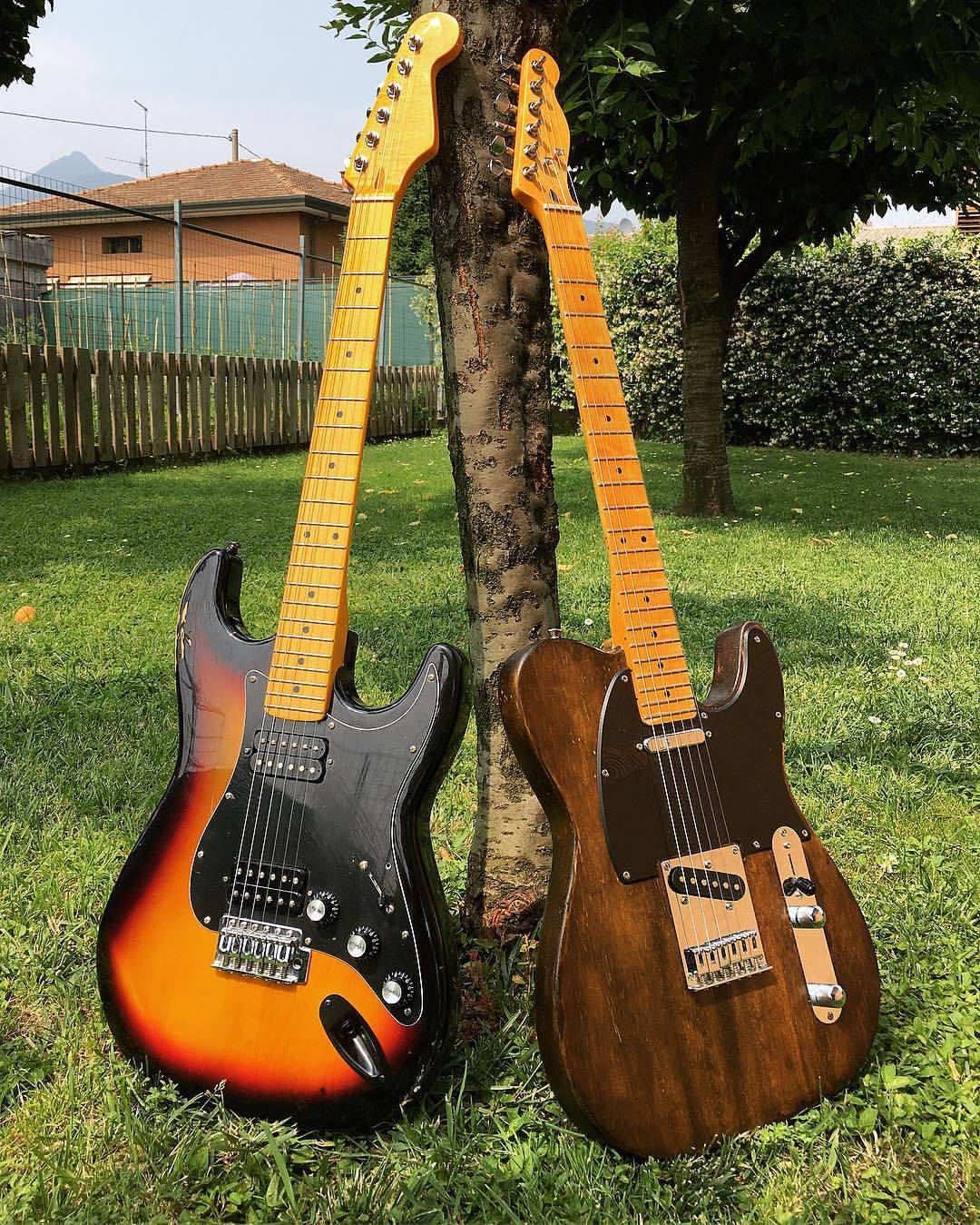 My affinity Telecaster on the right, stripped and stained, I also darkened the neck to give it ...