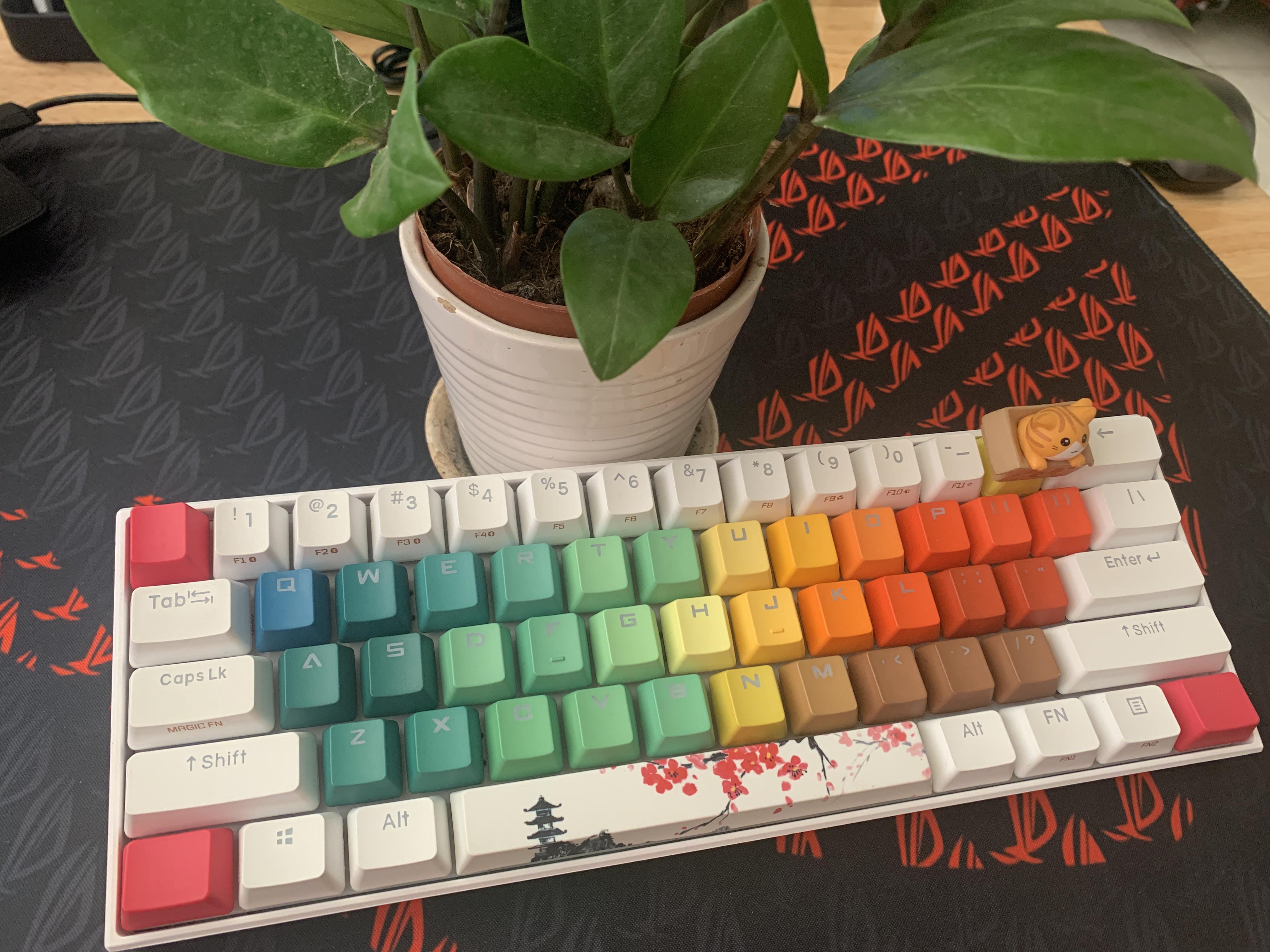 My Anne Pro 2 with custom keycaps | Scrolller