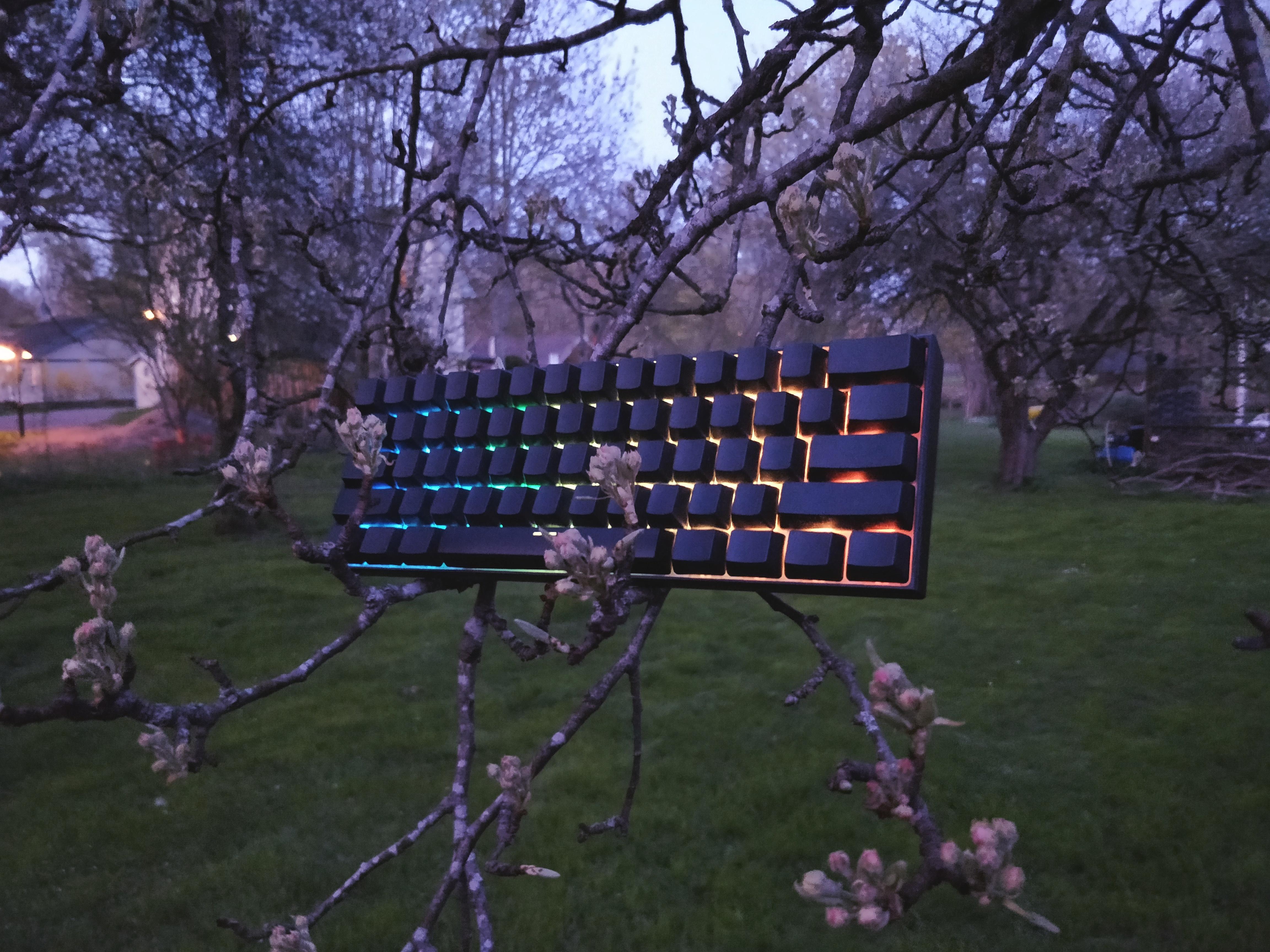 My Anne Pro with Kailh Box Pale Blues (+ dampened case, new clipped and lubed stabilizers ...