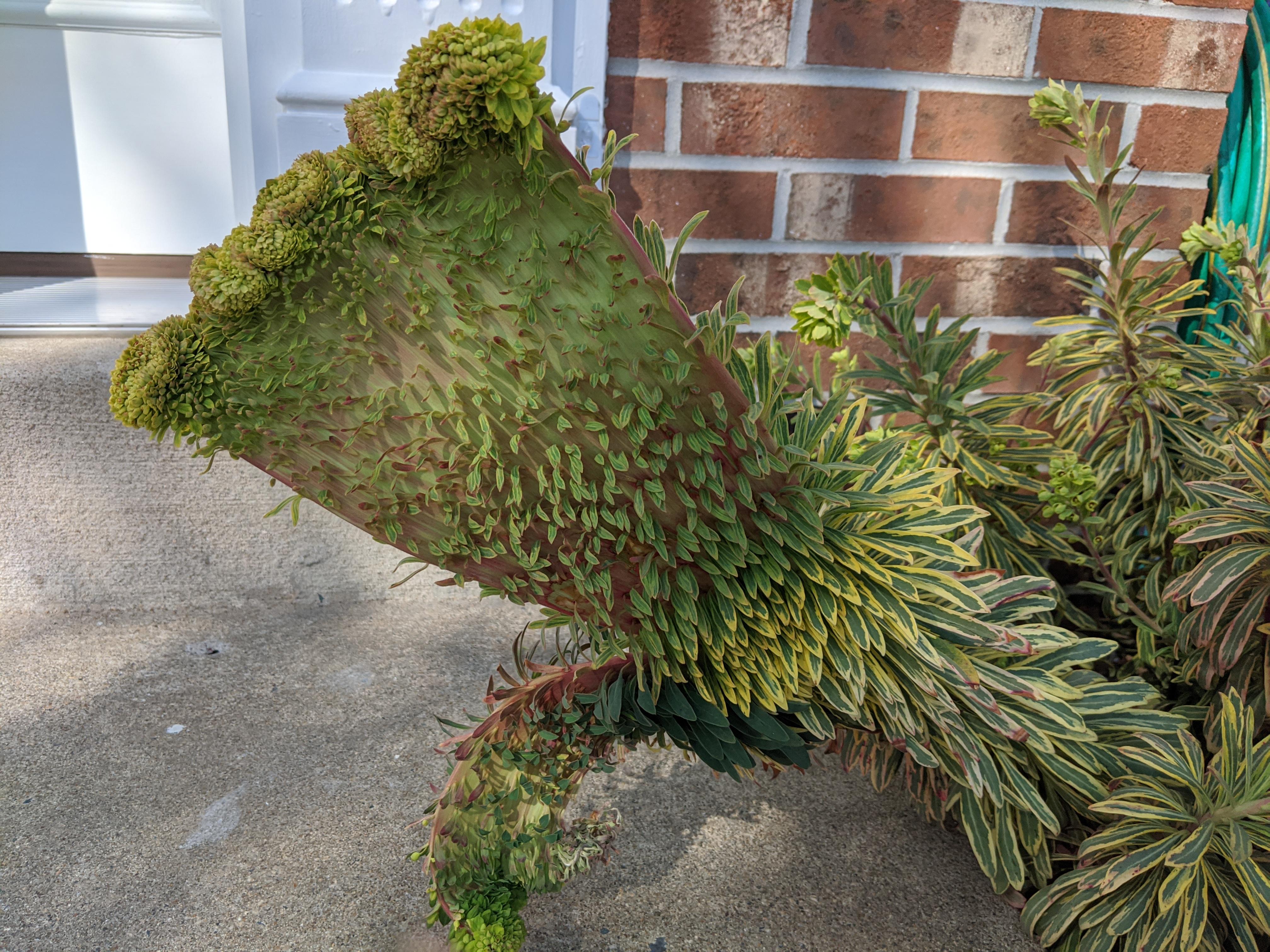 Any explanation? | Scrolller