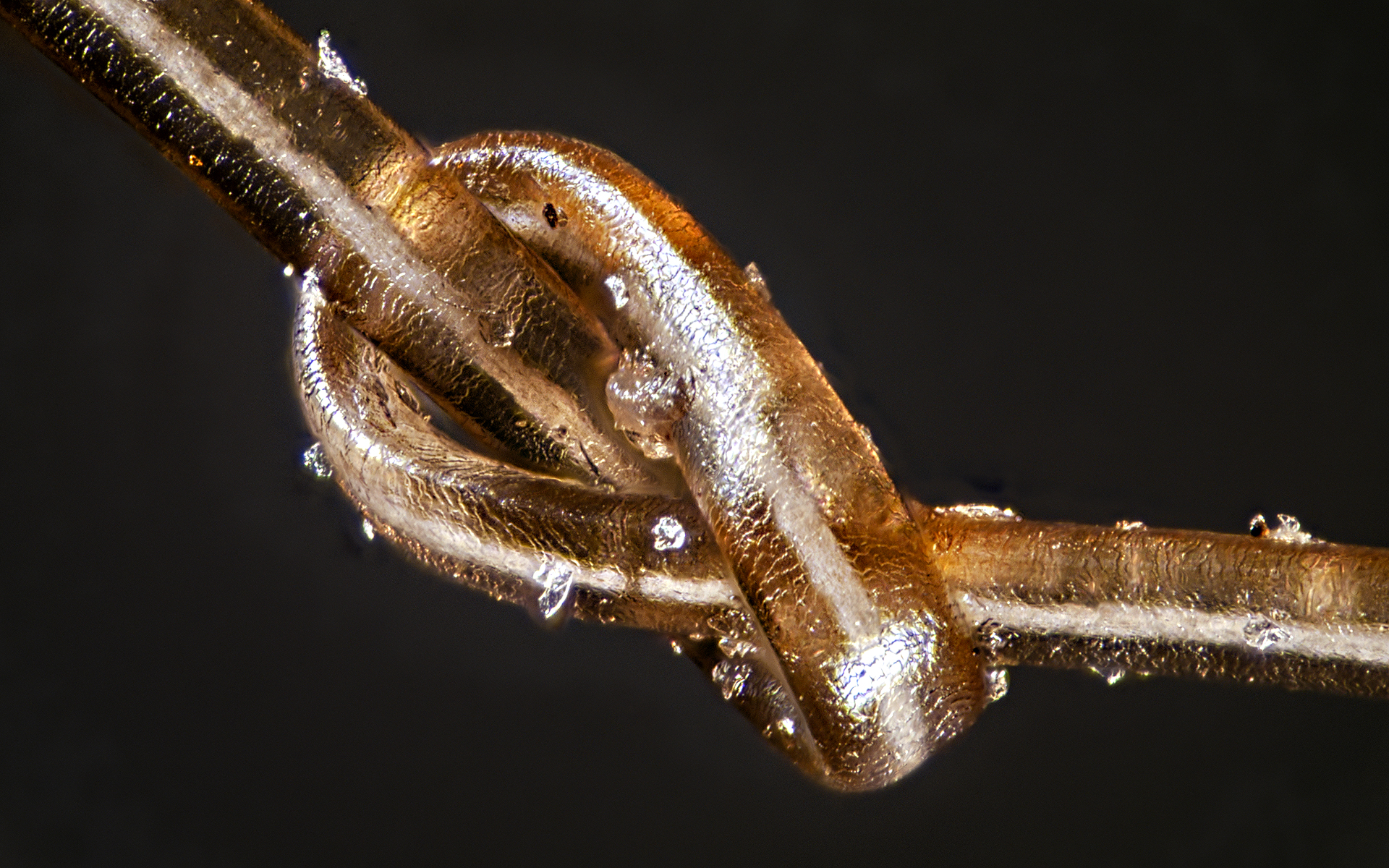 My attempt at a hair knot. | Scrolller