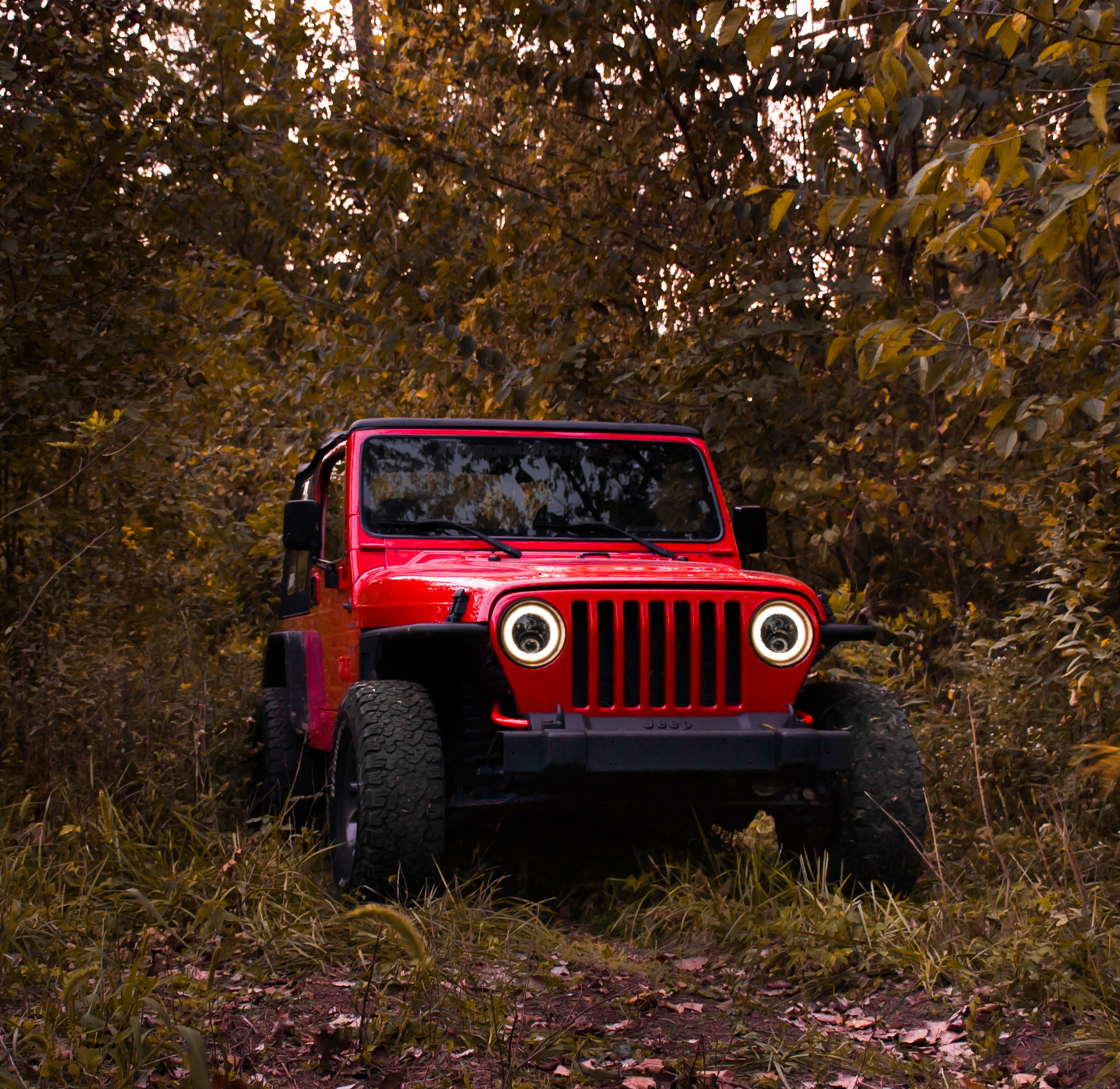 My baby TJ | Scrolller