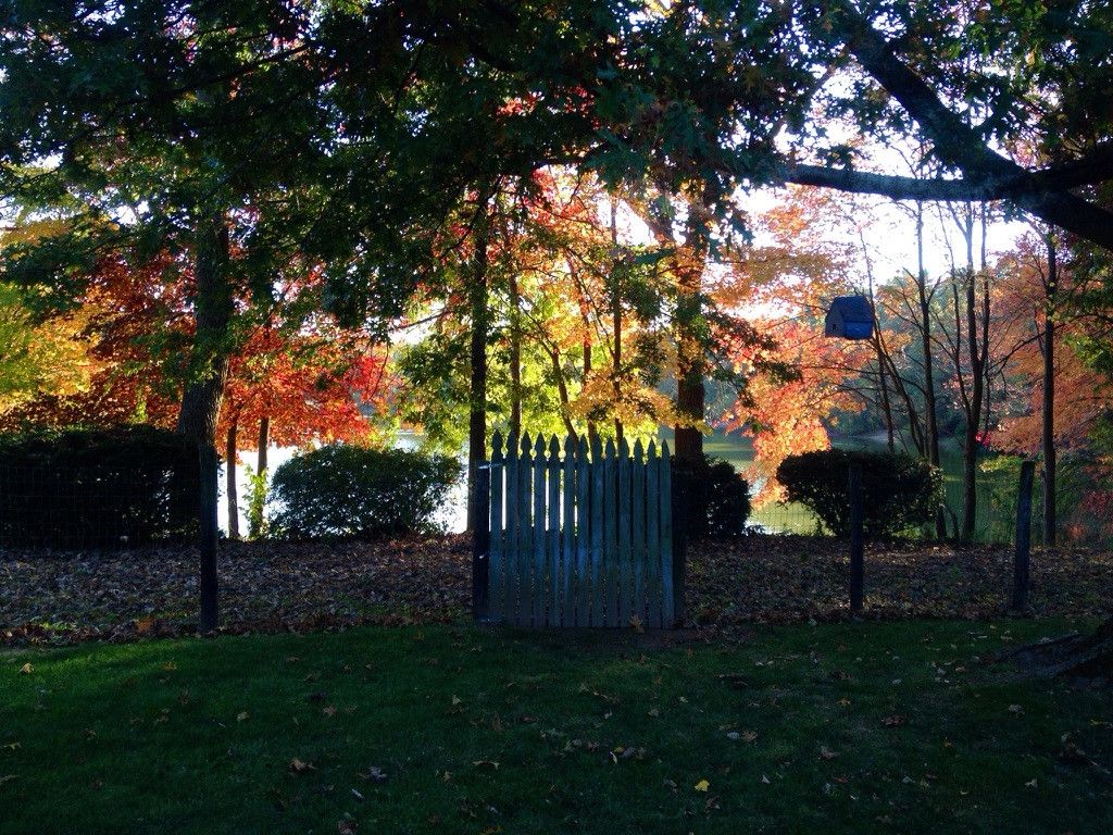 My backyard, Plainville, CT. (2592 x 1936) | Scrolller