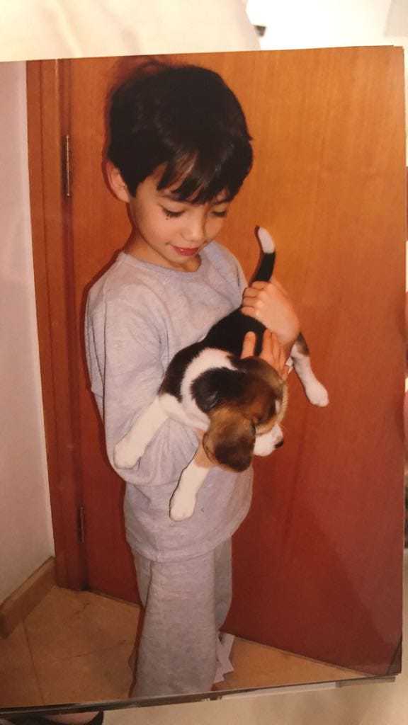 My beagle | Scrolller