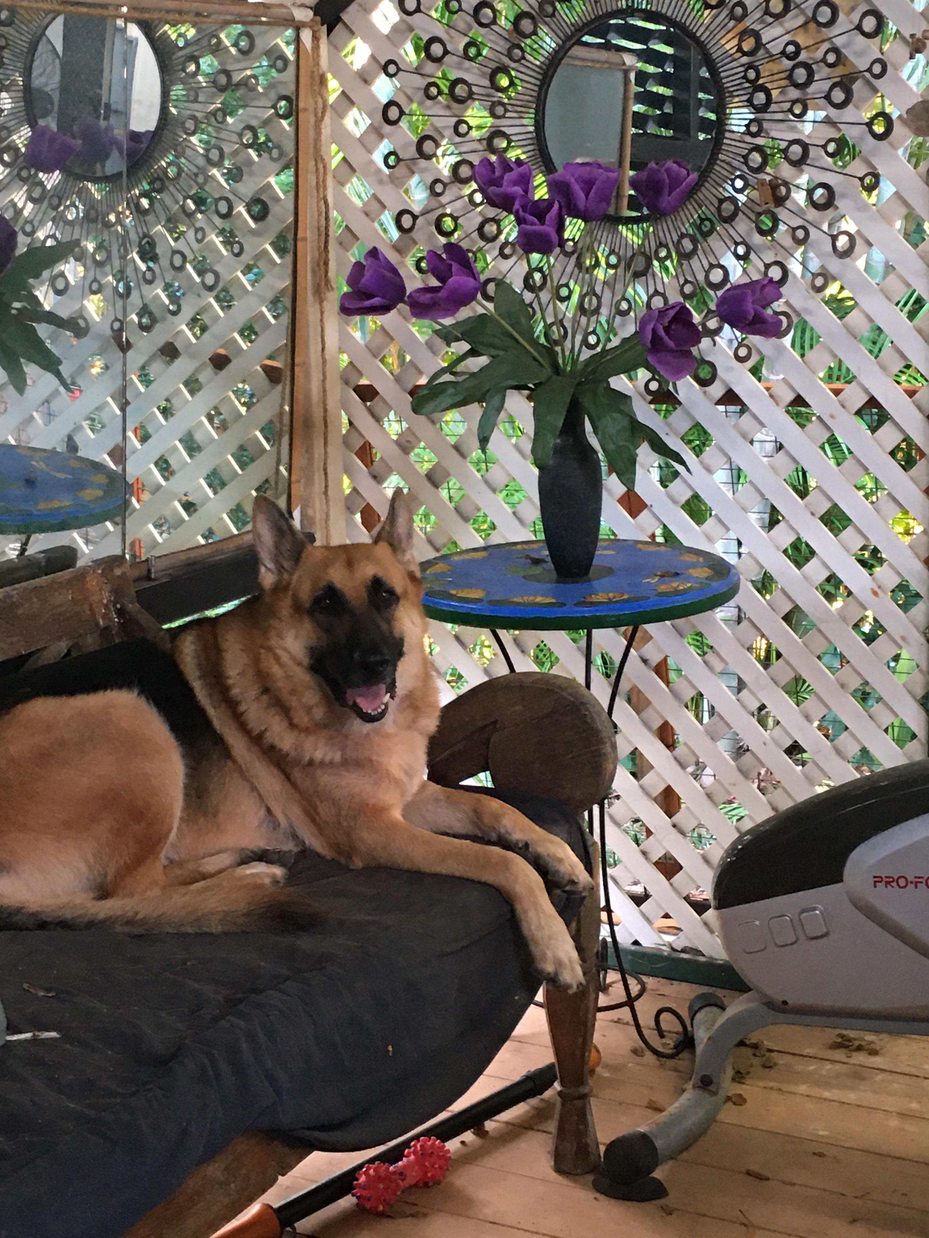 My beautiful boy | Scrolller