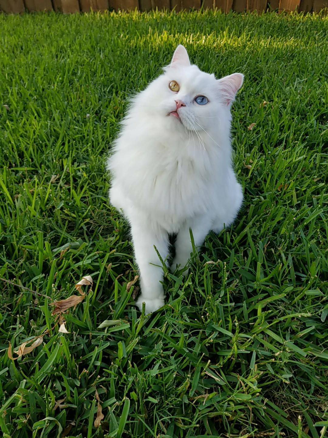 My beautiful boy... | Scrolller