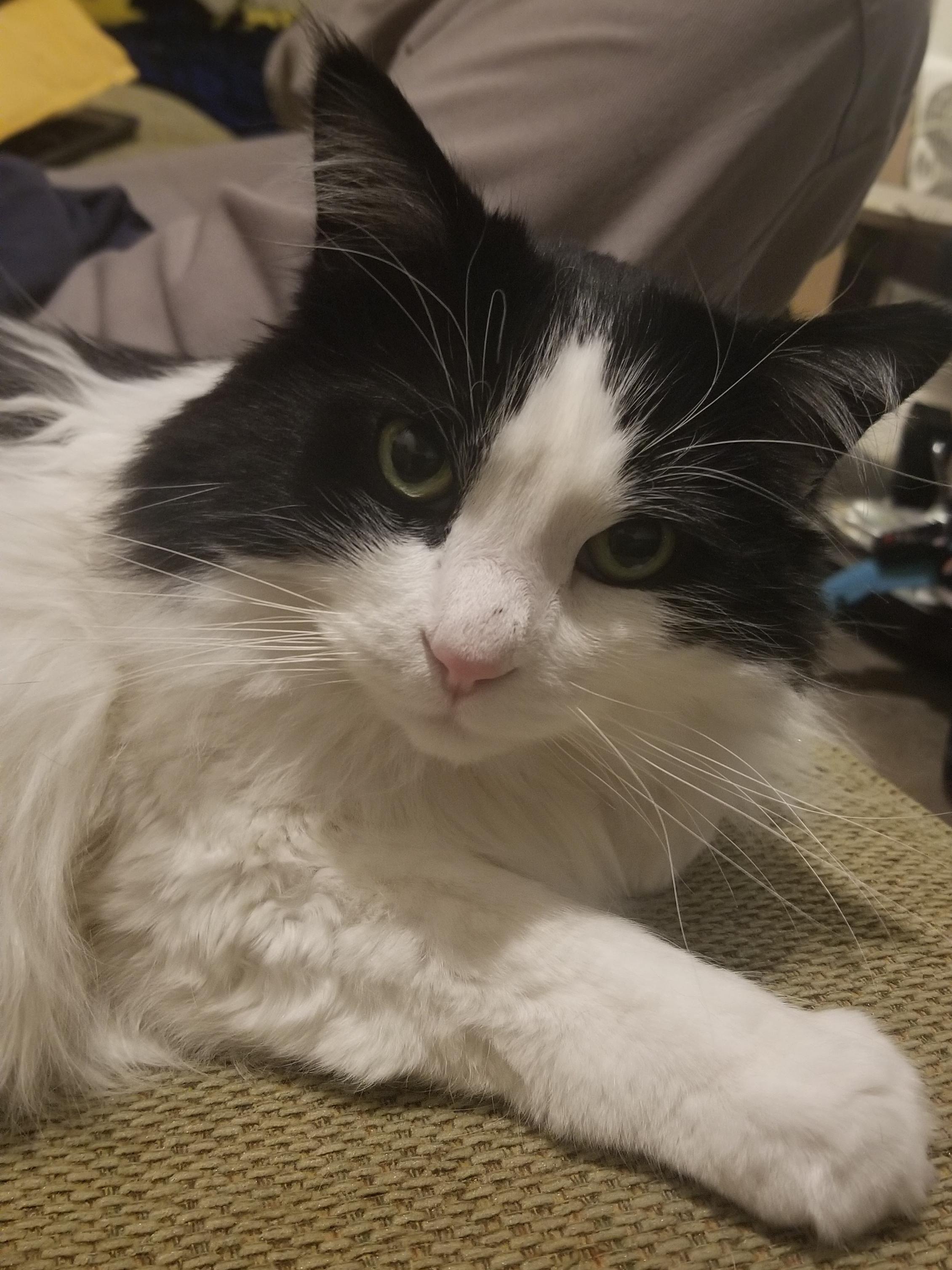 My beautiful boy | Scrolller