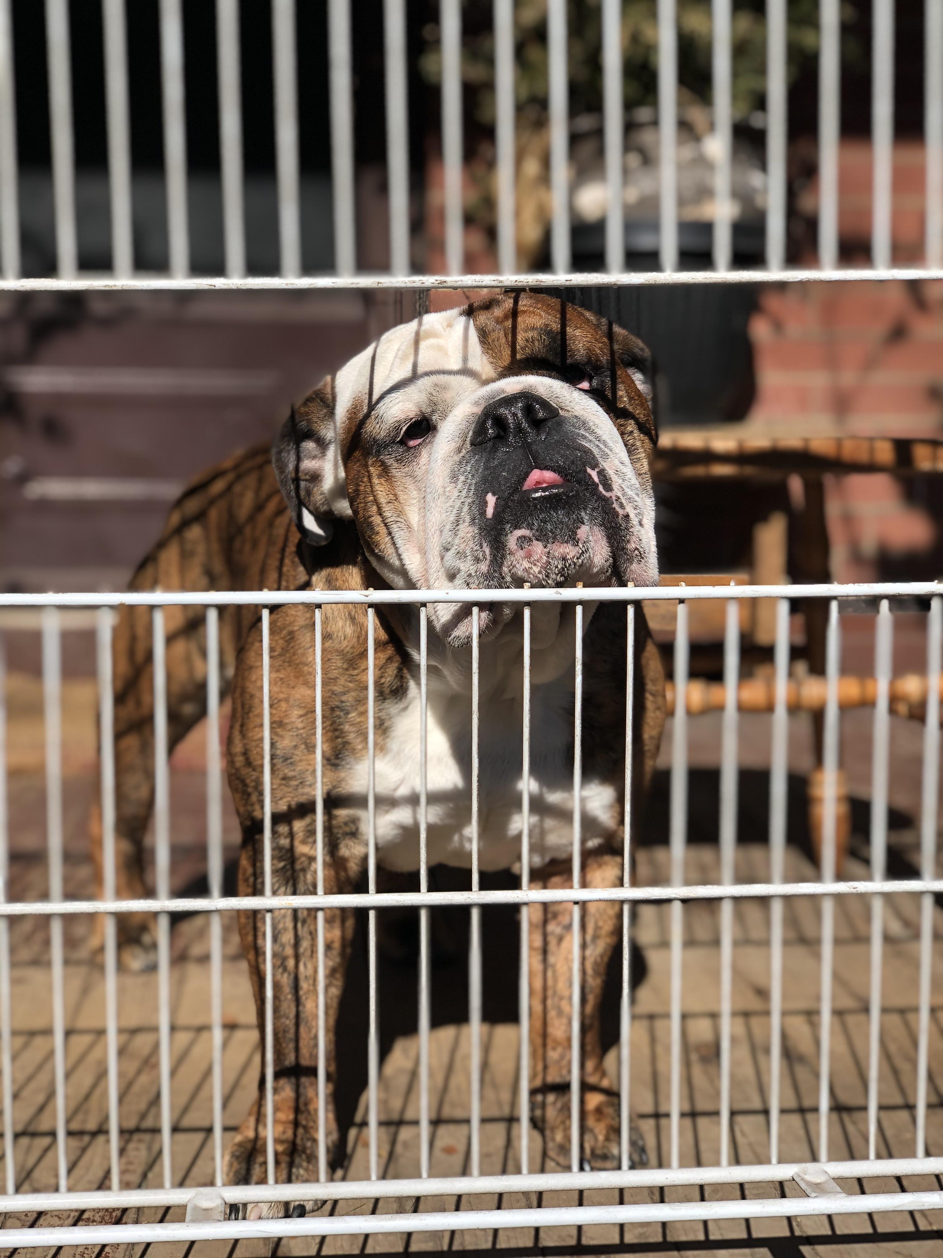 My best bud catching some rays | Scrolller