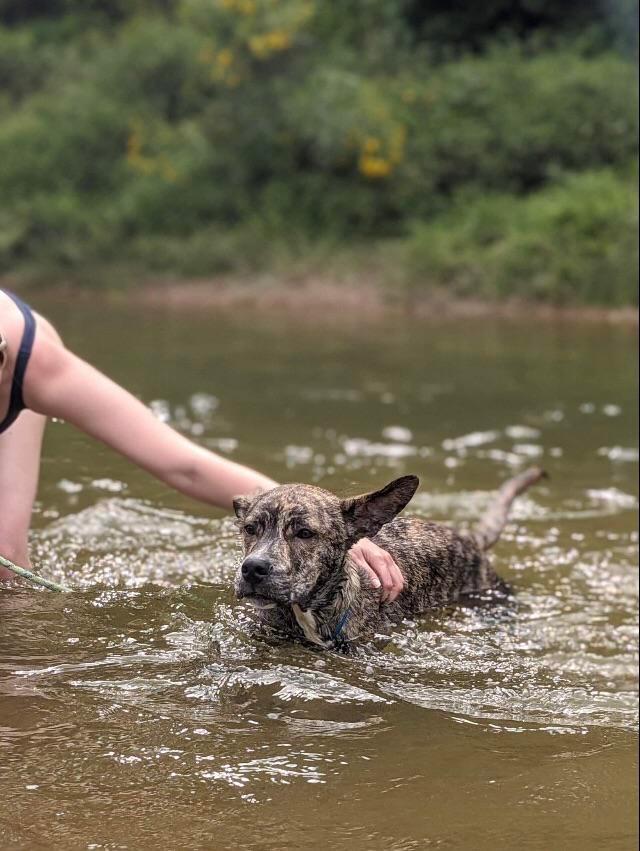 My big boy braving the water for the first time | Scrolller