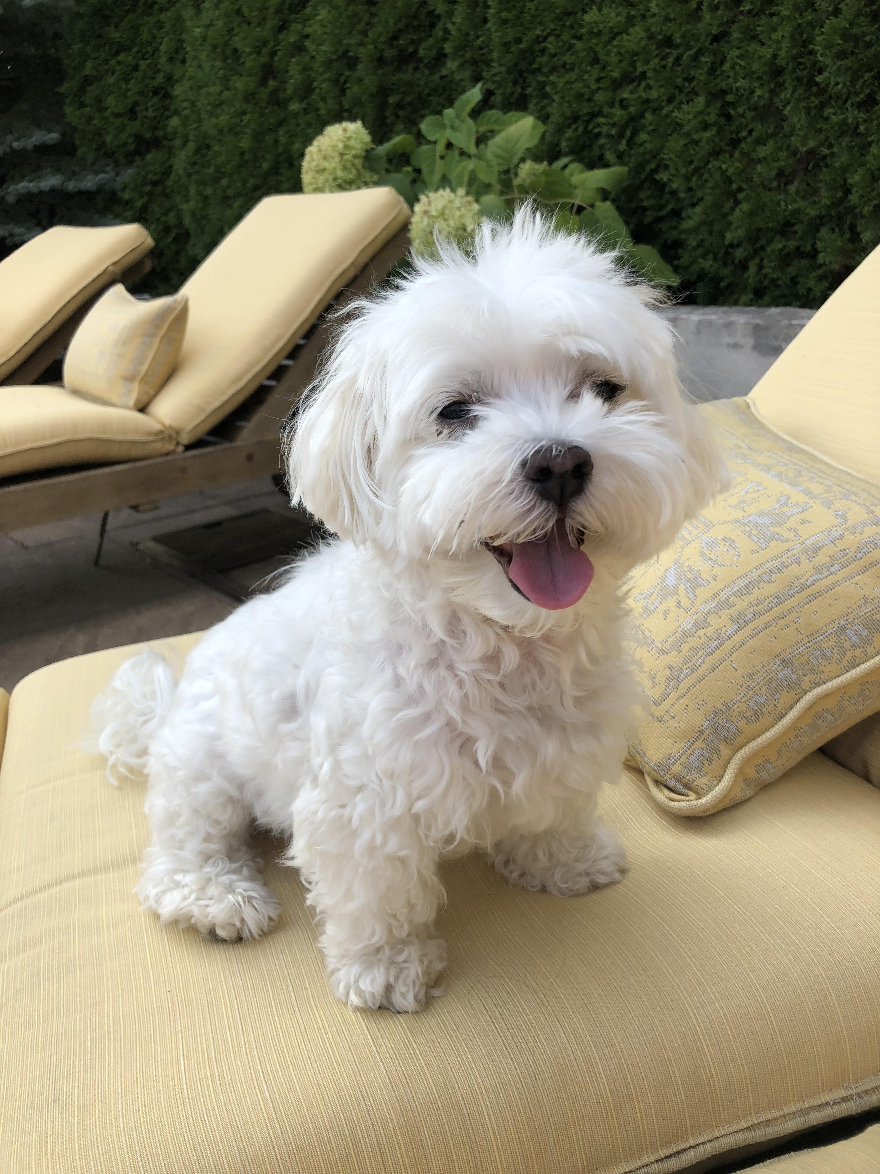 My boy Bubbles! | Scrolller